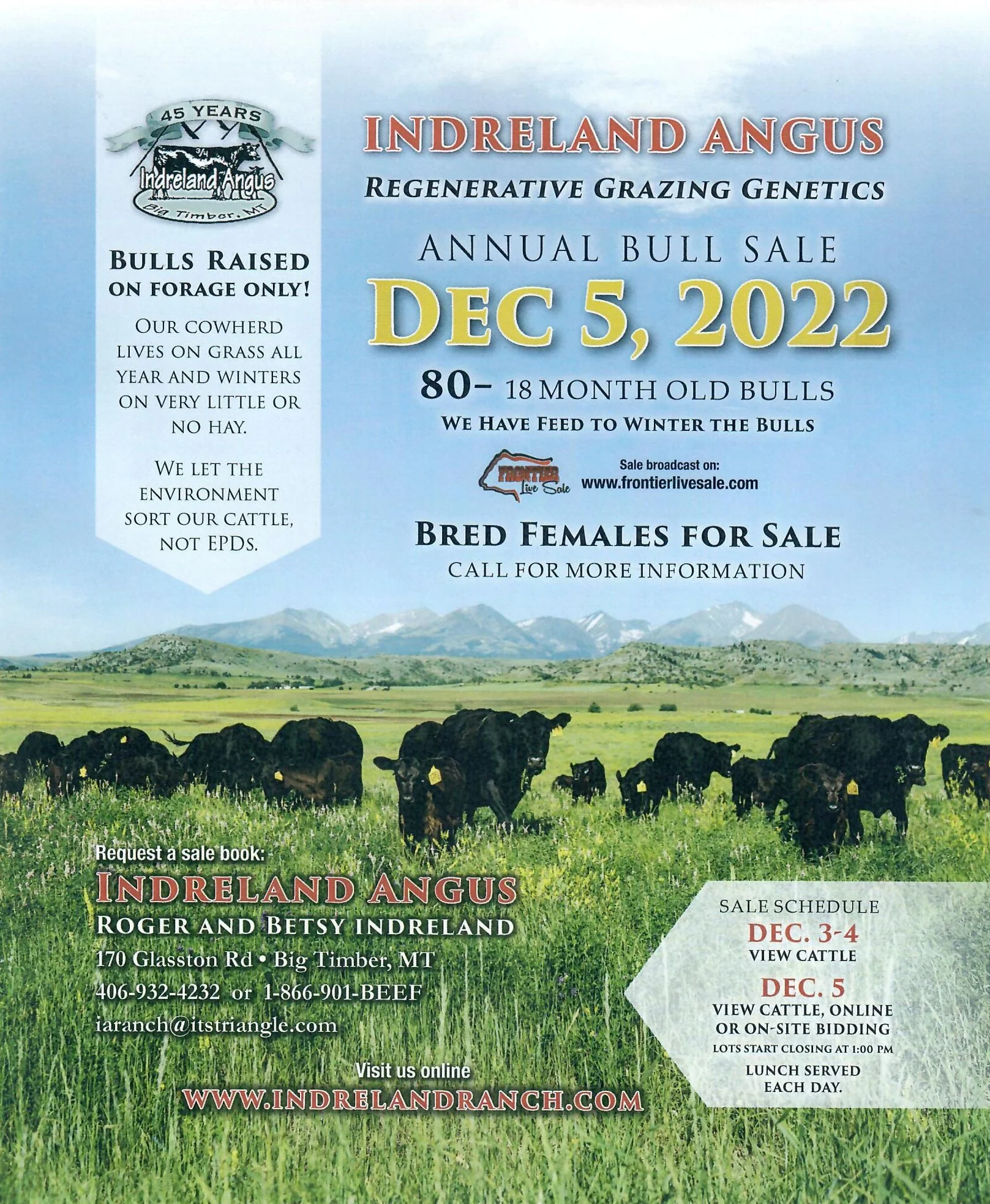 December Bull Sale — Indreland Ranch Montana Angus Bulls