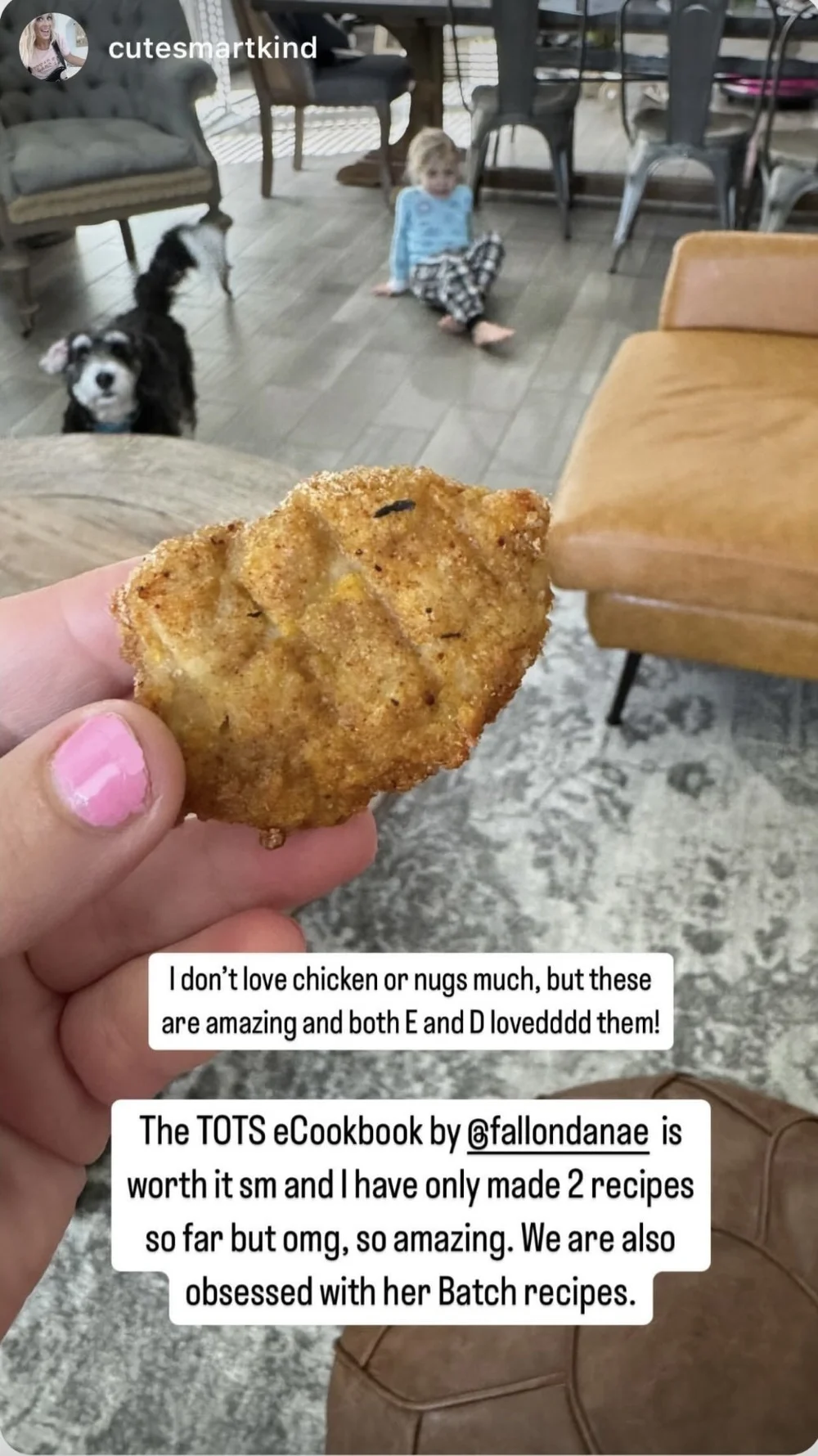 Tots Cookbook – Healthy Childhood Favorite Recipes | Fallon's Table ...
