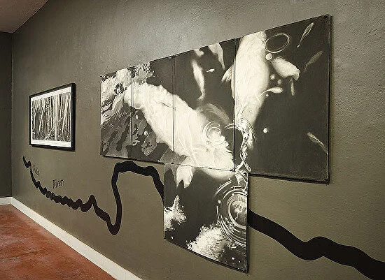 Exhibitions — Catherine Ruane