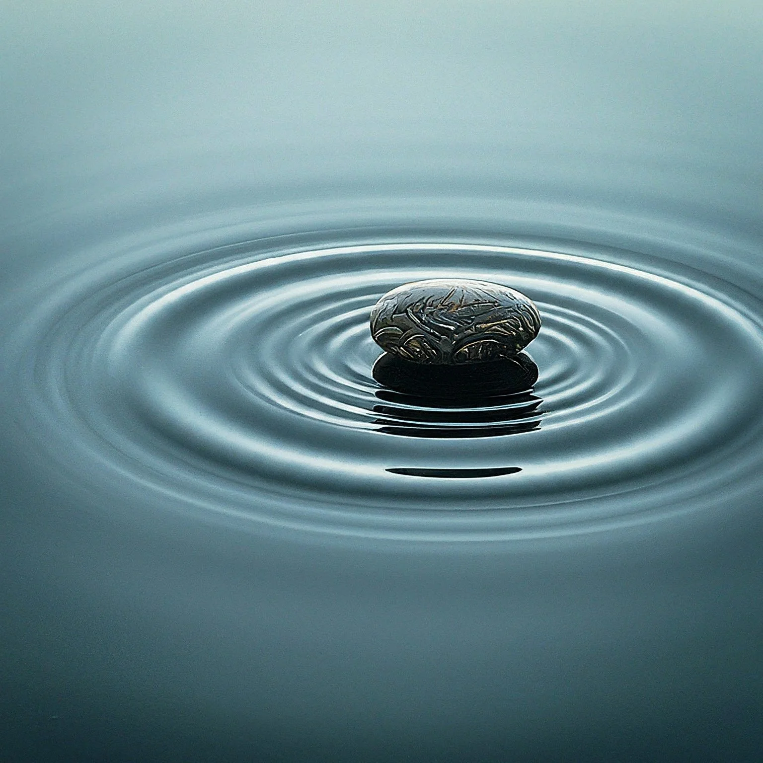 Exposure Security Ratings and Cybersecurity Ratings Score — ThreatNG ...