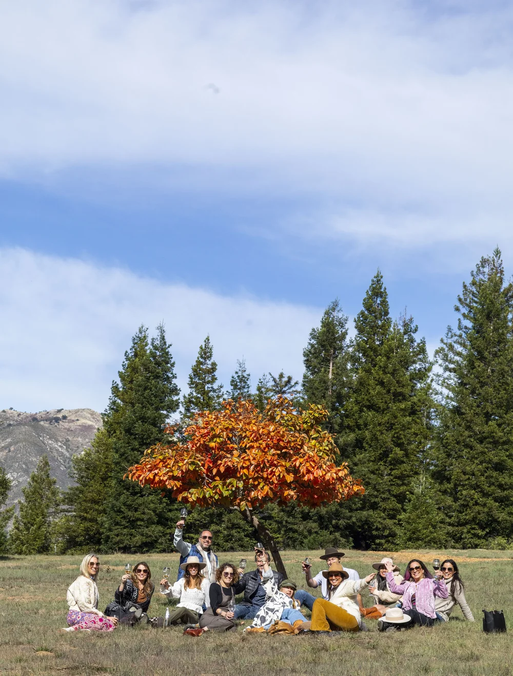Festival Events — Big Sur Food & Wine