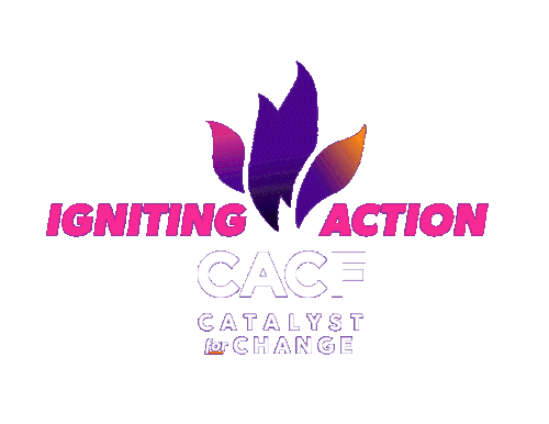 CACF Catalyst for Change Gala 2024 — CACF - Coalition for Asian ...