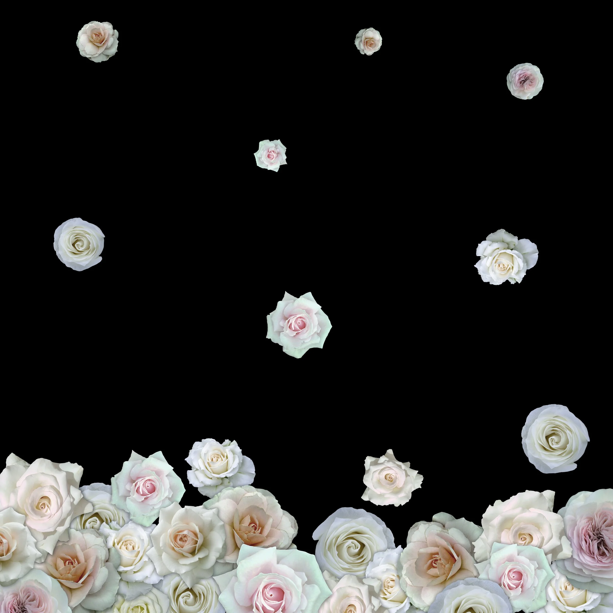 About — The Rose Hotel Chicago O'Hare