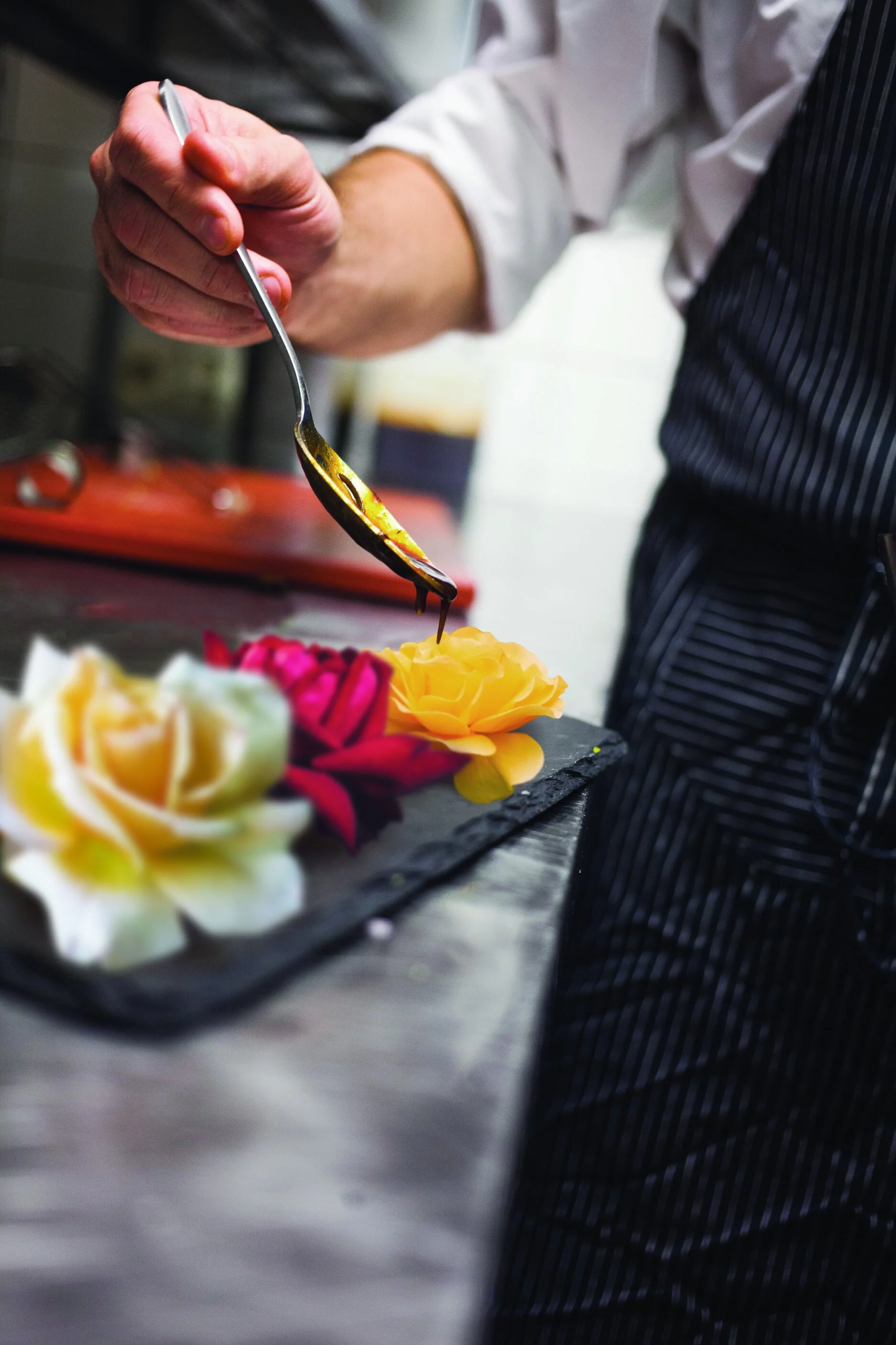 Eat — The Rose Hotel Chicago O'Hare
