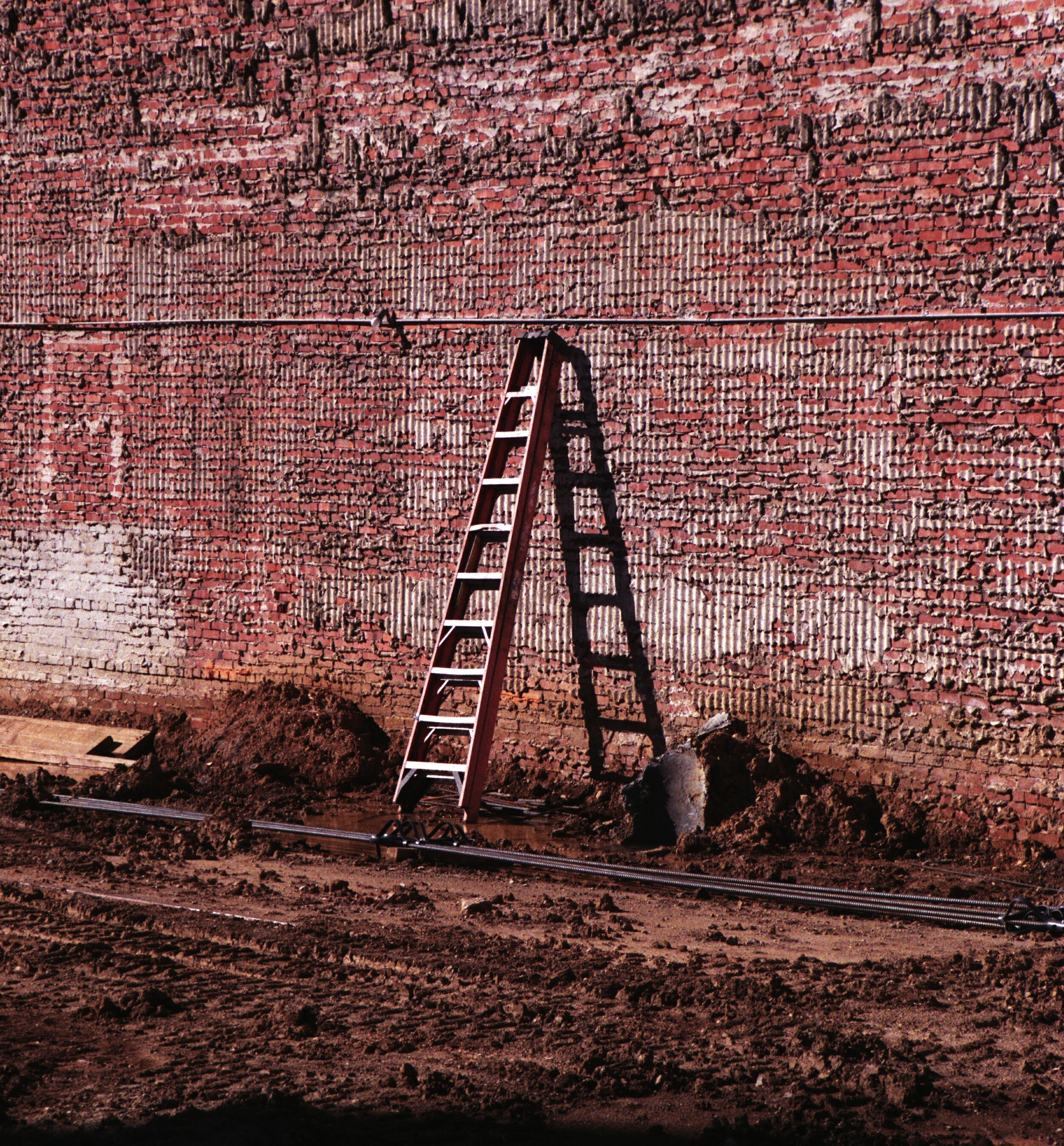 Color — David Copithorne