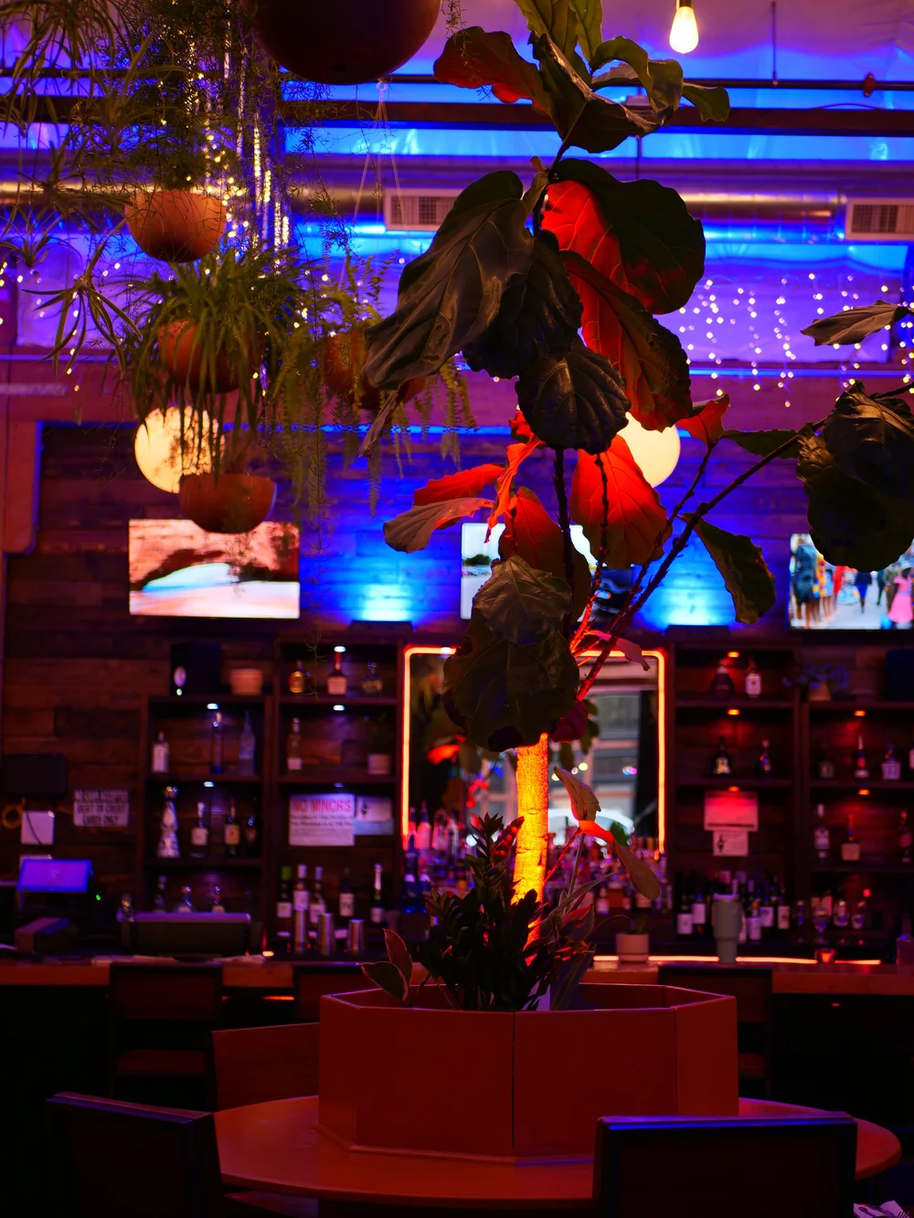 AKÂDI PDX Gallery — West African Cuisine