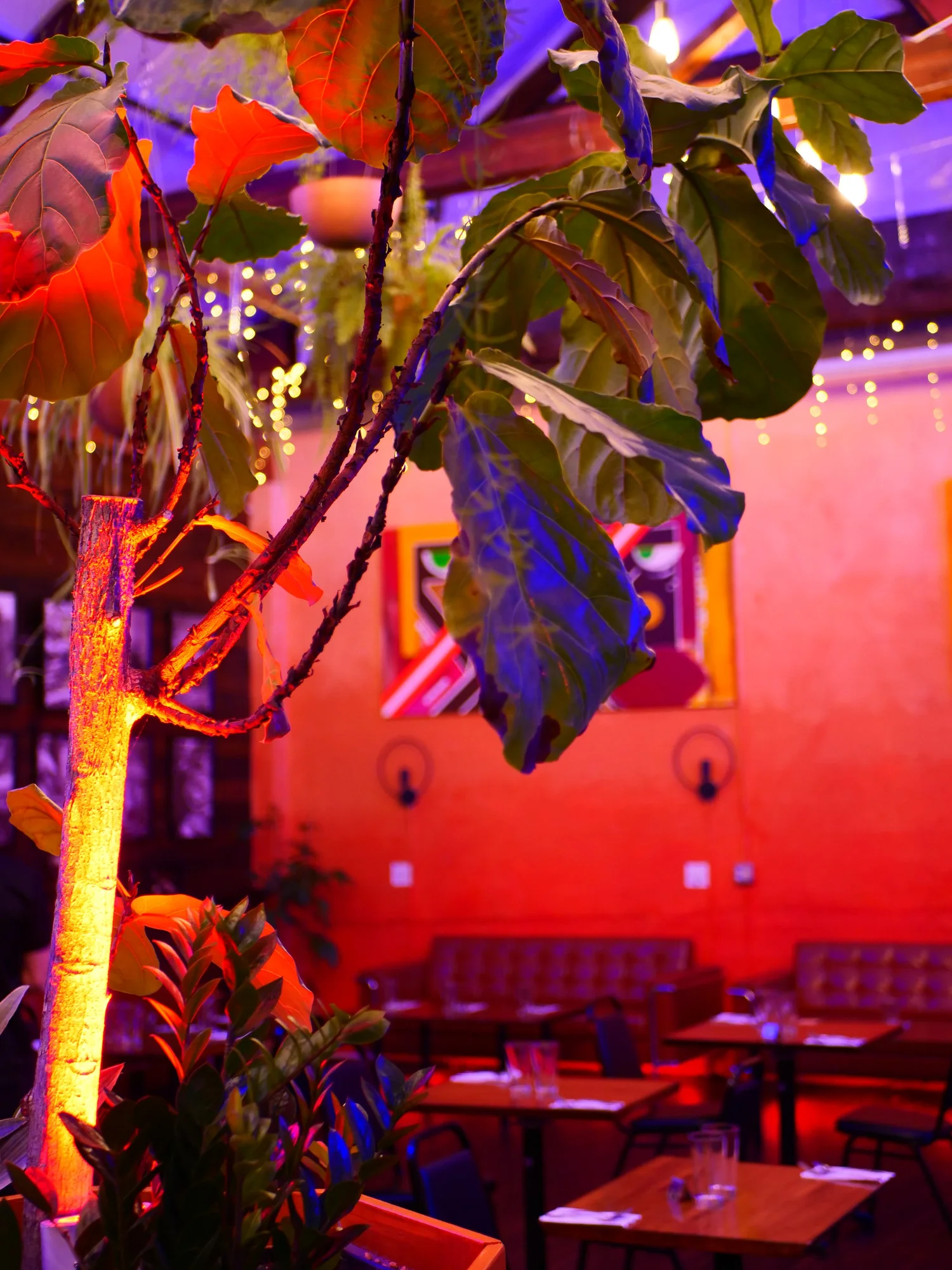 AKÂDI PDX Gallery — West African Cuisine