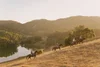 Central Coast Trailrides