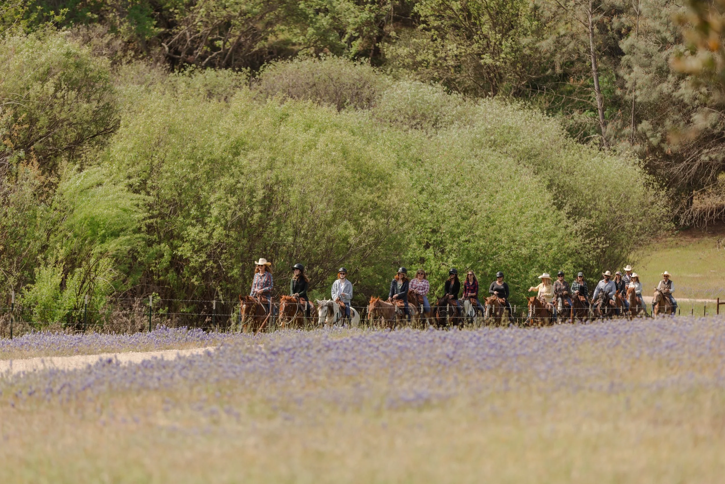 Rides — Central Coast Trailrides