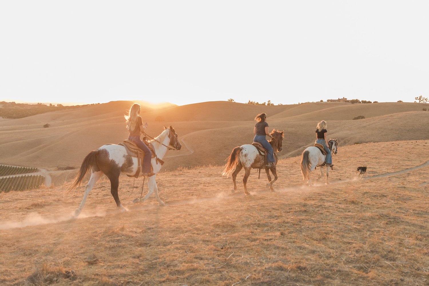 Central Coast Trailrides