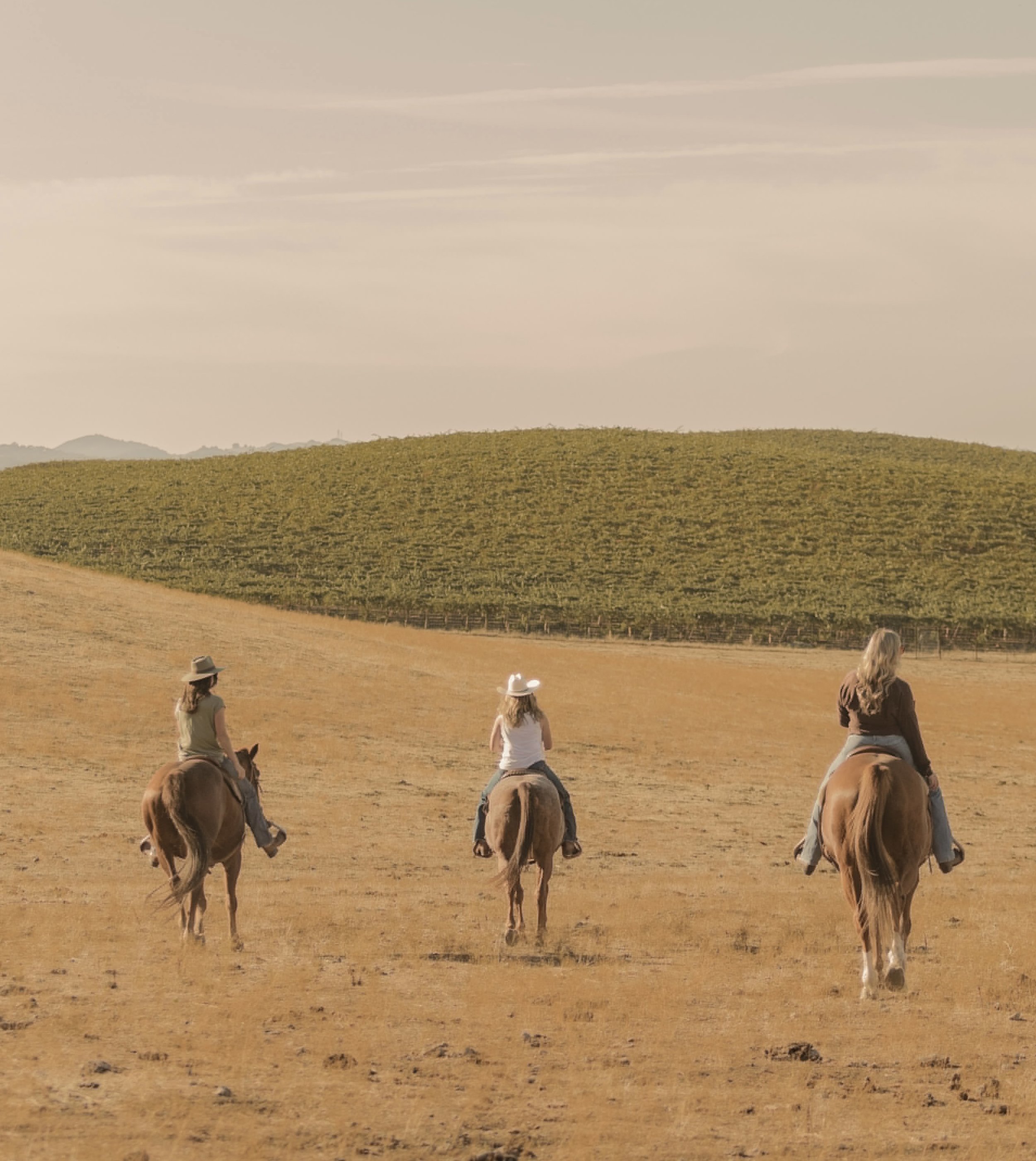 Rides — Central Coast Trailrides