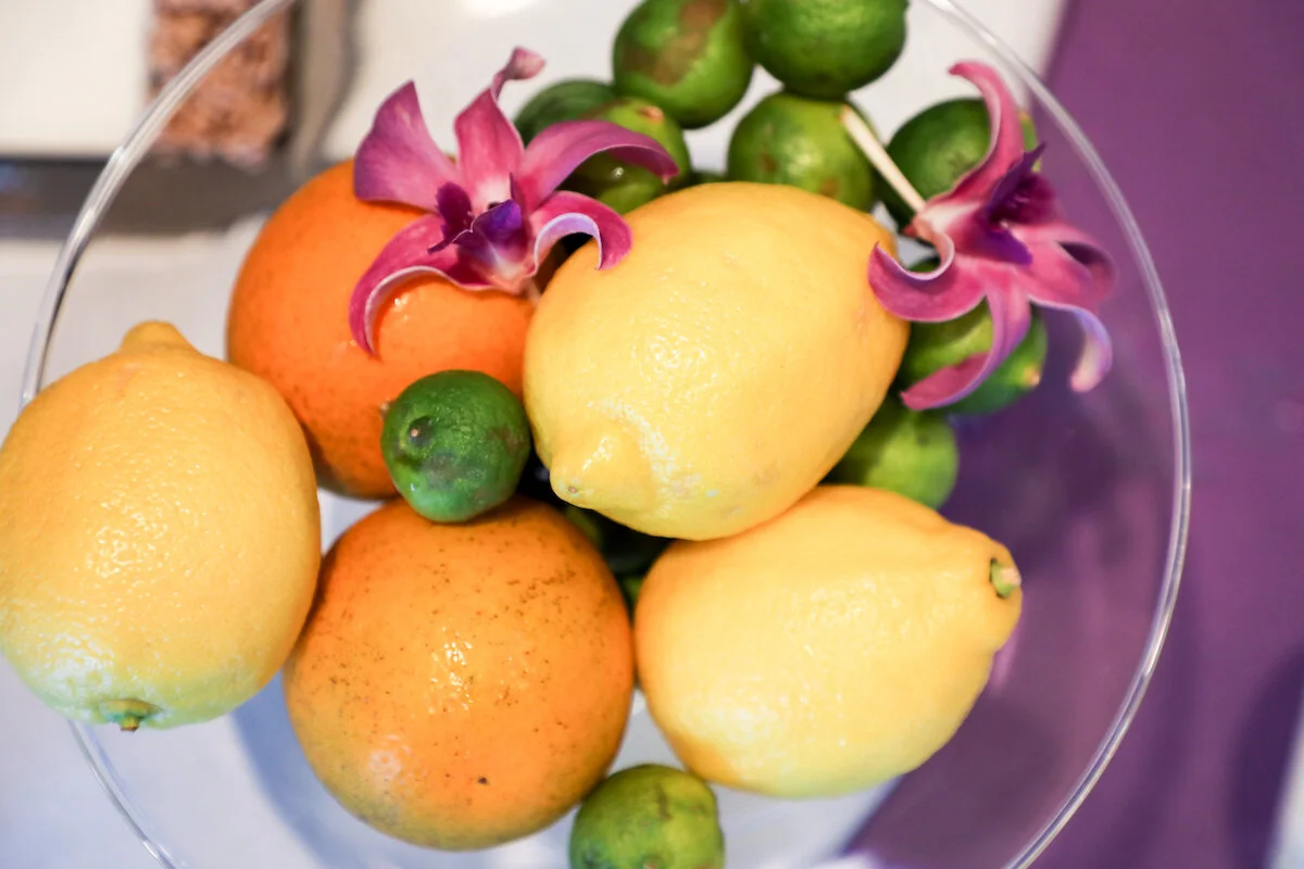 Orchid Bar | Freshest Cocktails in Key West — Orchid Key Inn - Adult Only