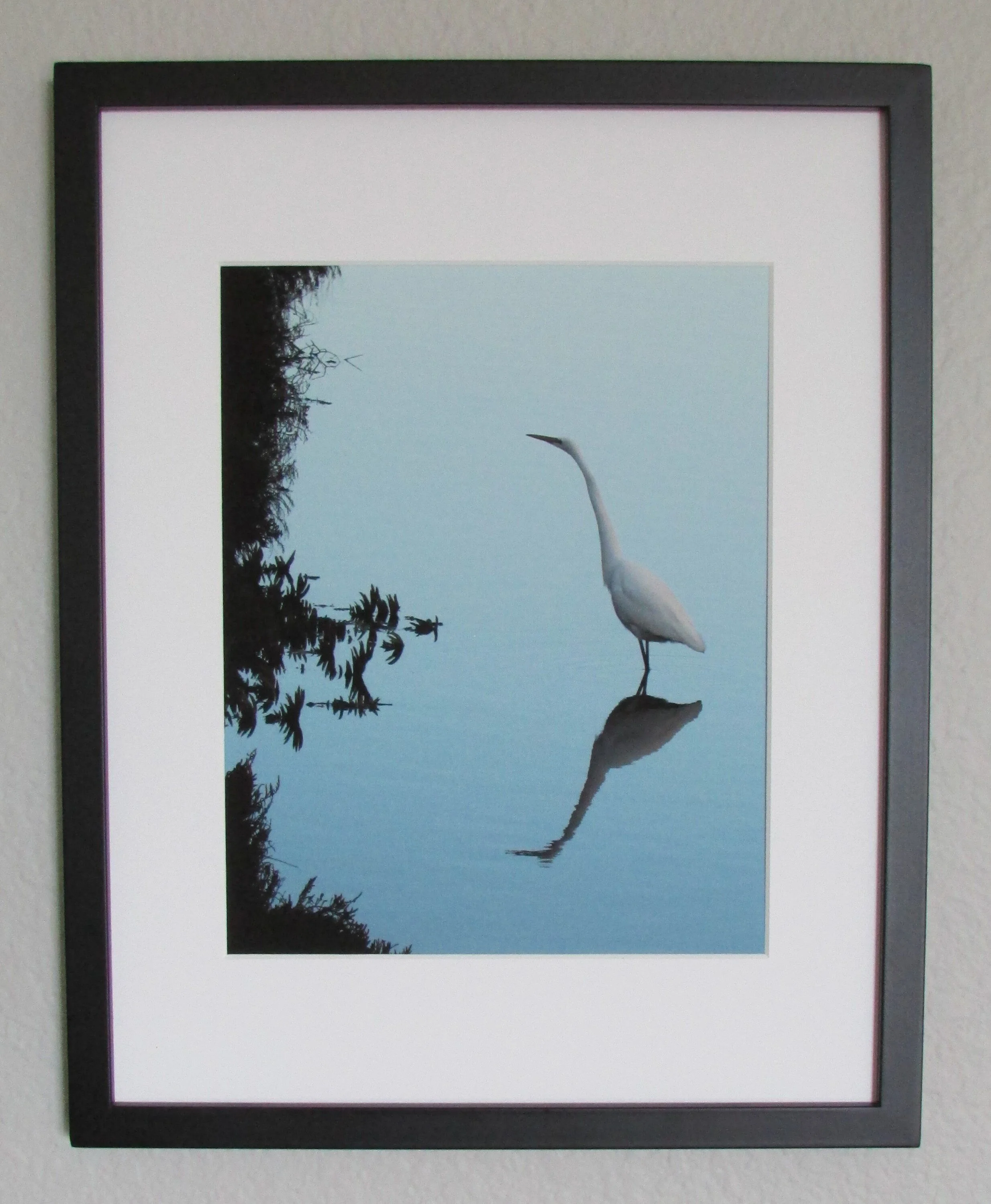 Egret — Jennifer Lyn Corcoran Gallery