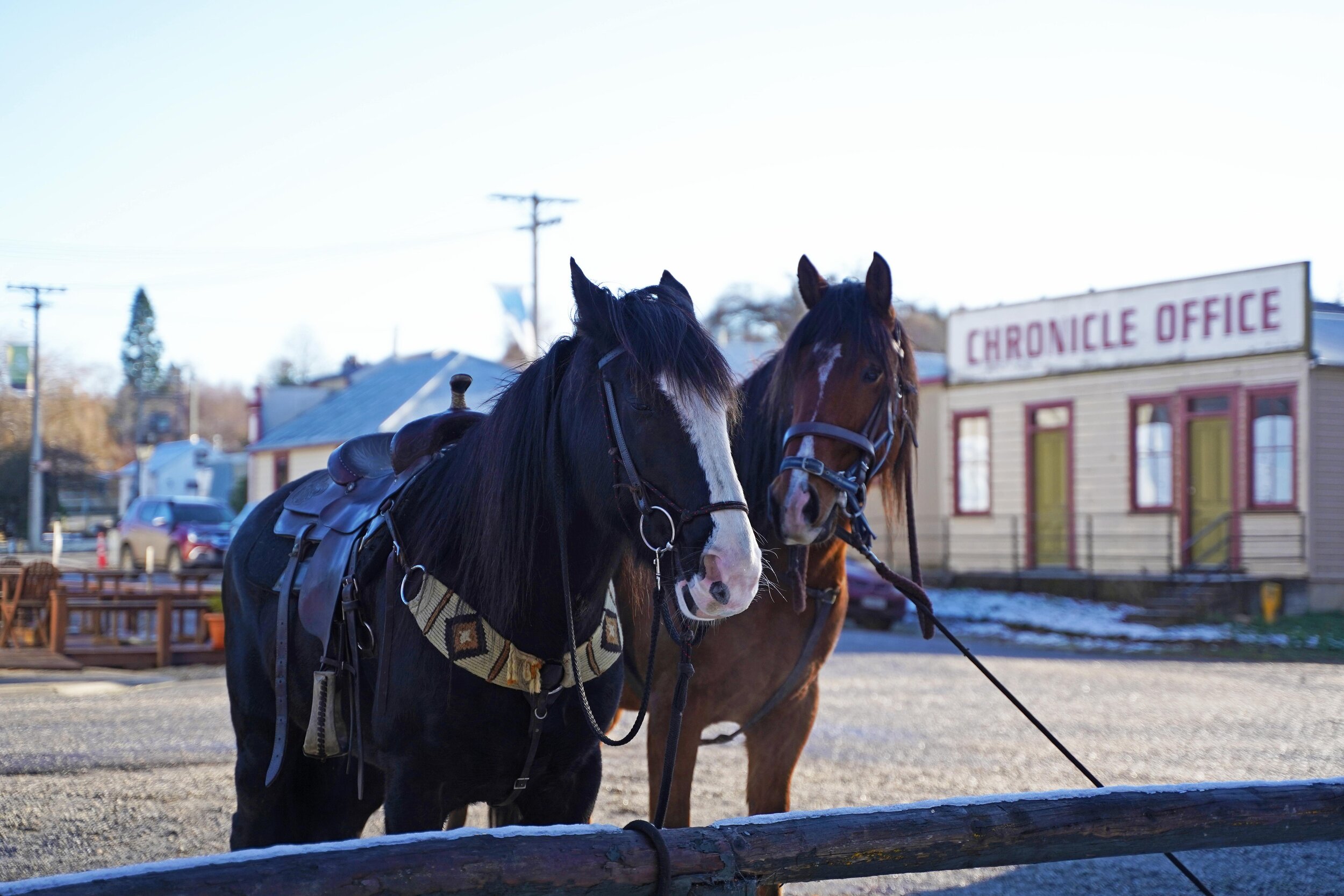 Our Story — Royal Hotel Naseby