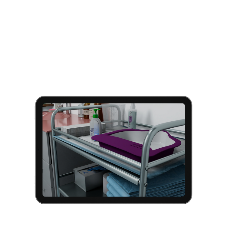 CNA Skills Simulator: Practice Essential Clinical Skills Online — CNA ...