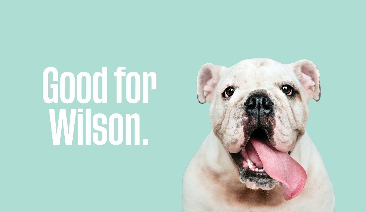 Real Dog Food — Louise Fulton