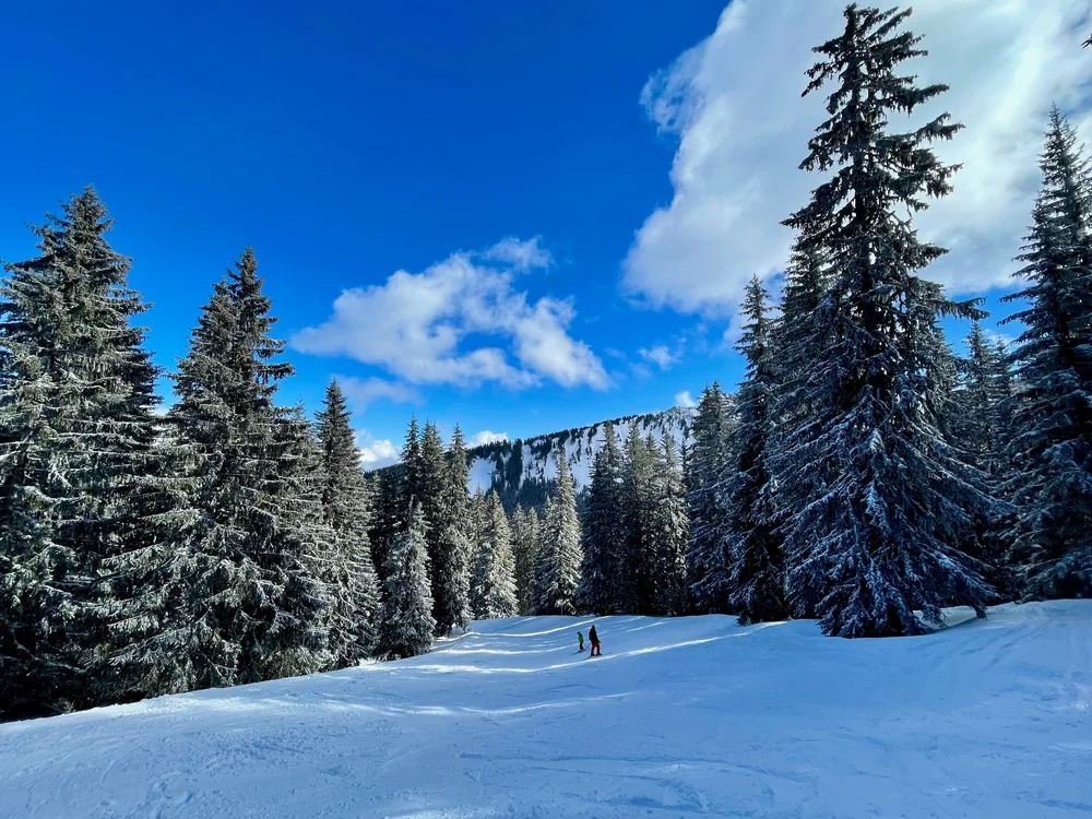 A Guide To Snowboarding In France — Simon Jack Burgess