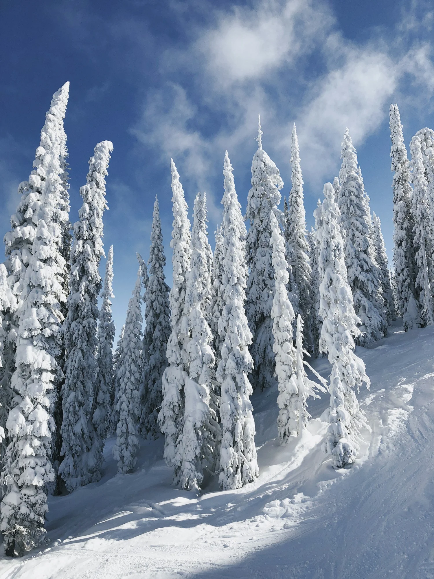 Revelstoke Mountain Resort Guide — Simon Jack Burgess