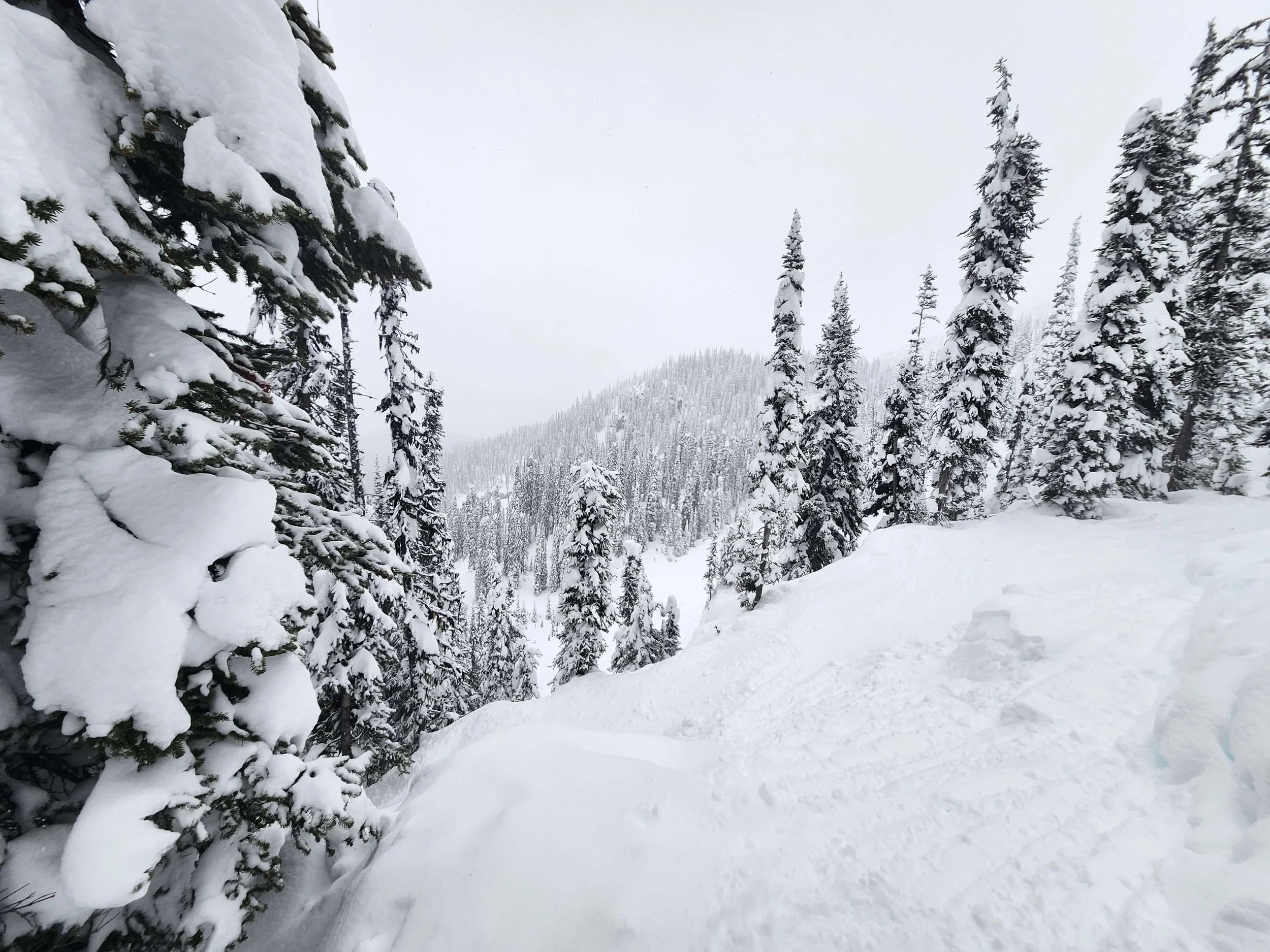 Revelstoke Mountain Resort Guide — Simon Jack Burgess