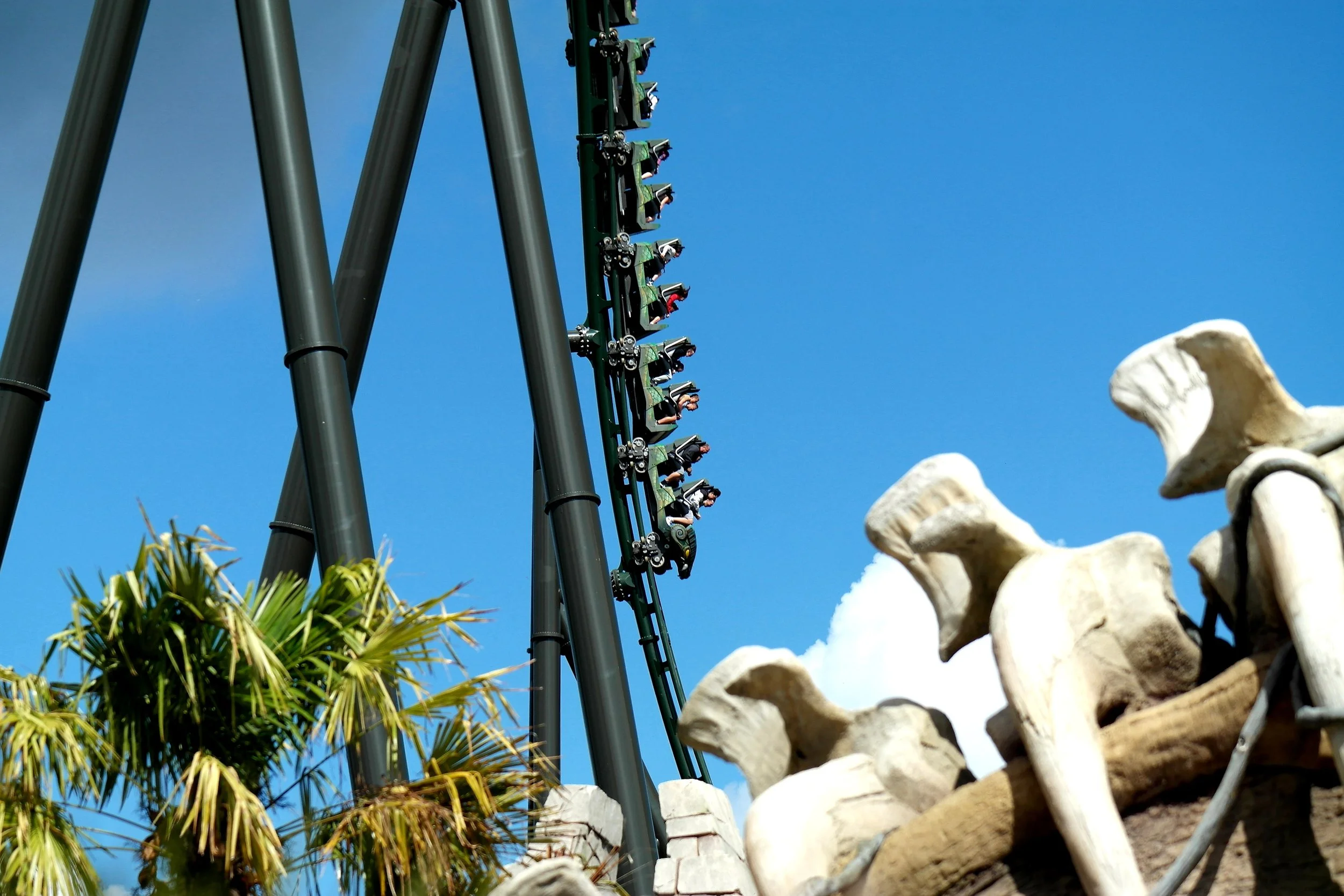 Our Tours — Coaster Breaks