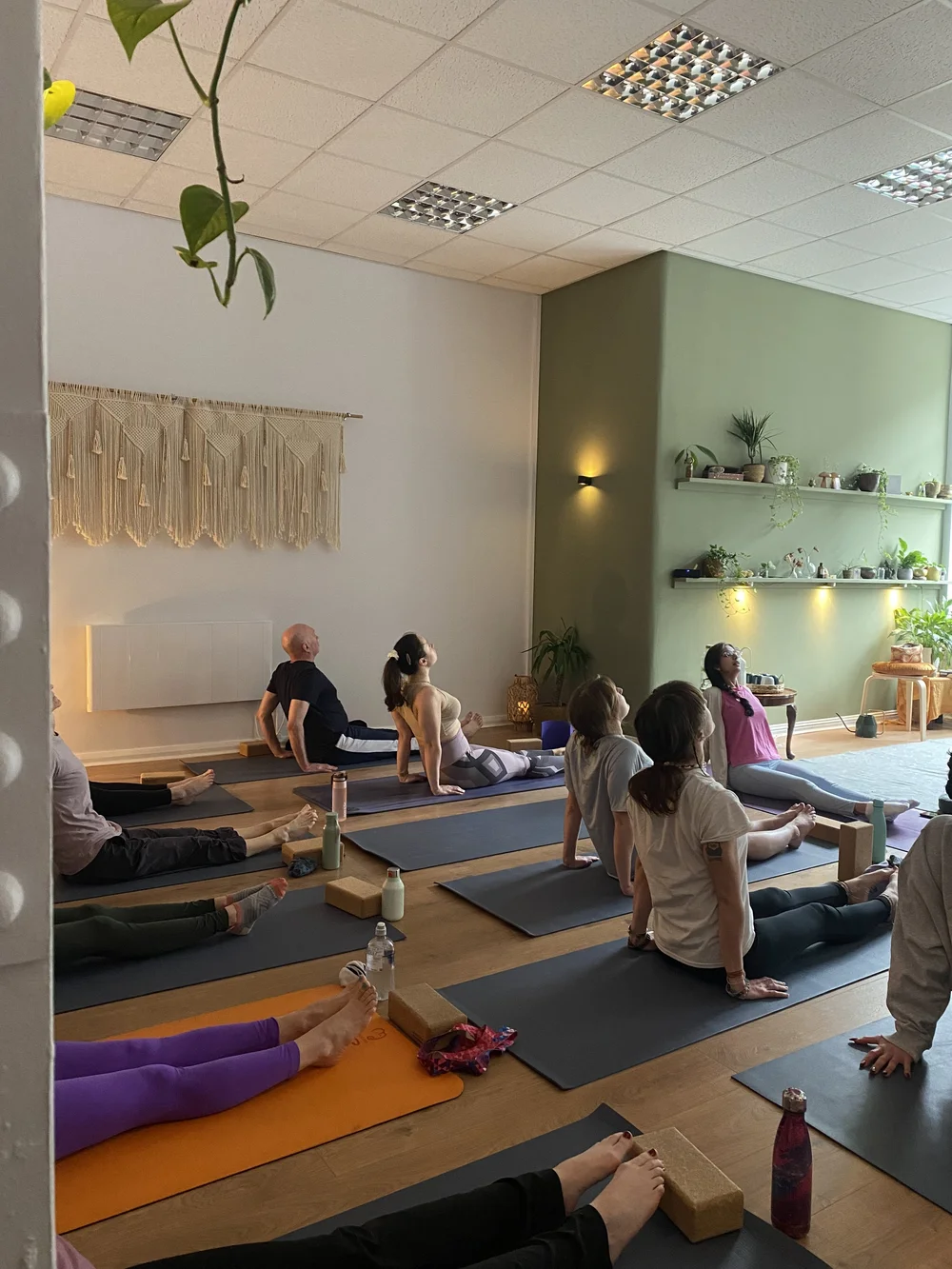 The Yoga Shala