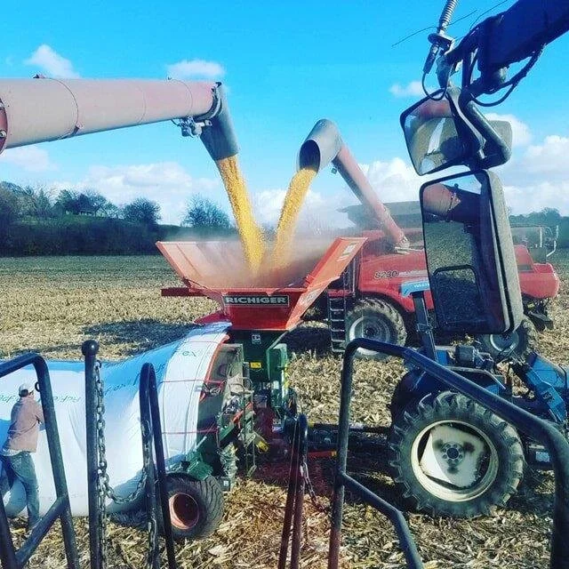 Wilson Insurance Agency