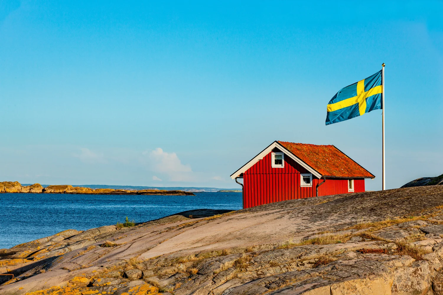 Learn Swedish Now | Swedish Language Learning Online
