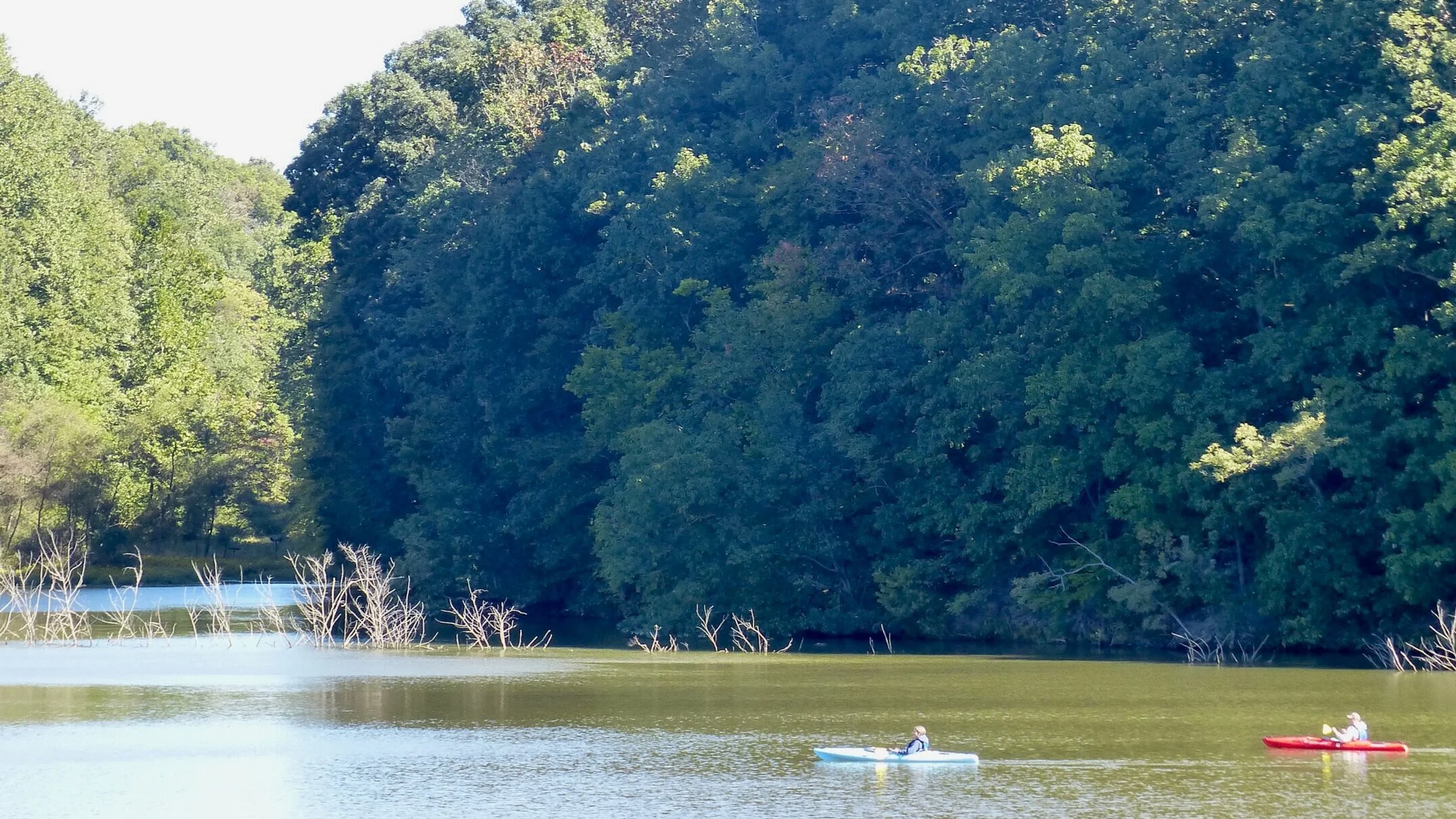Speedwell Forge Lake — kayakLanCo - Kayak Rentals near Lancaster, PA