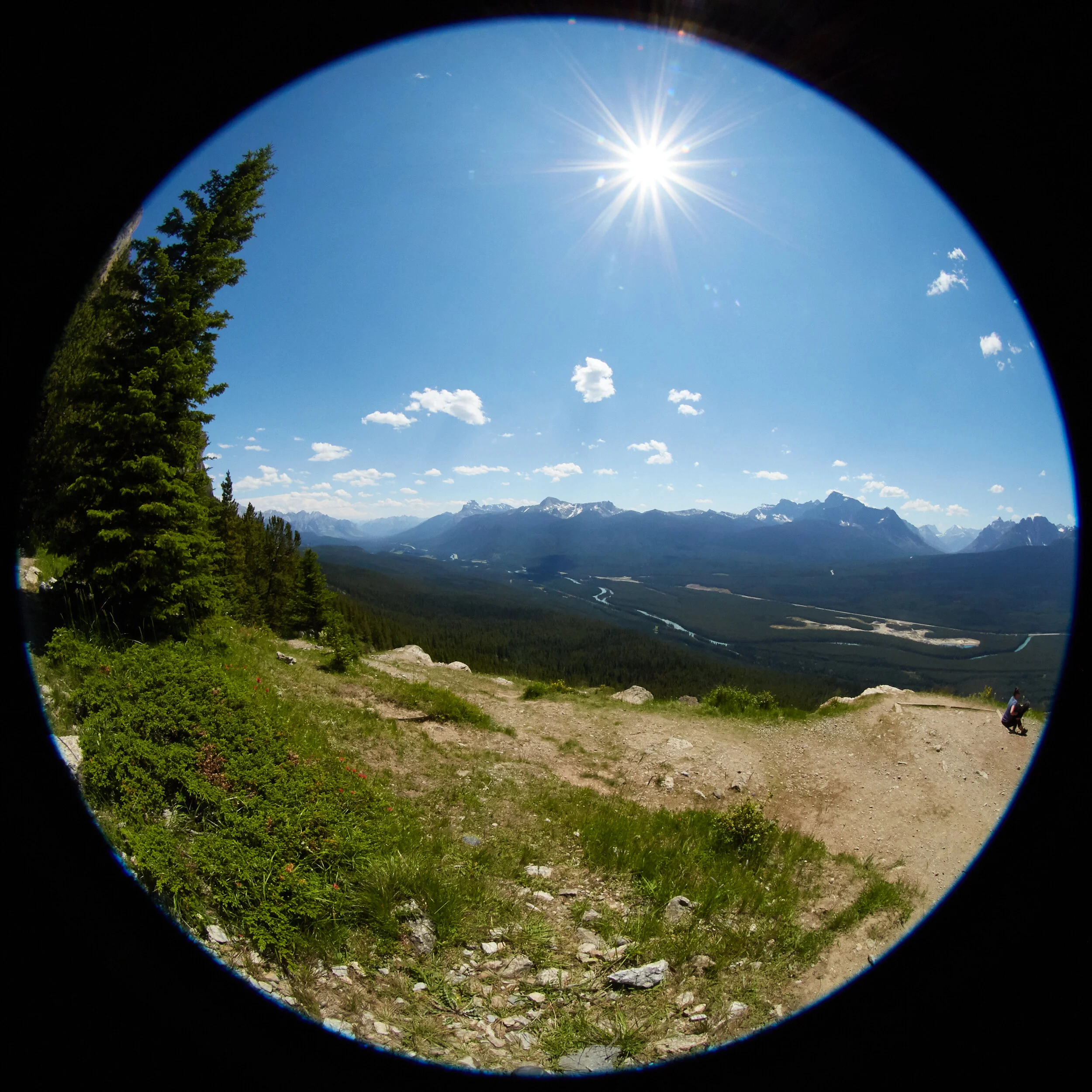 Banff — Trevor Pearson