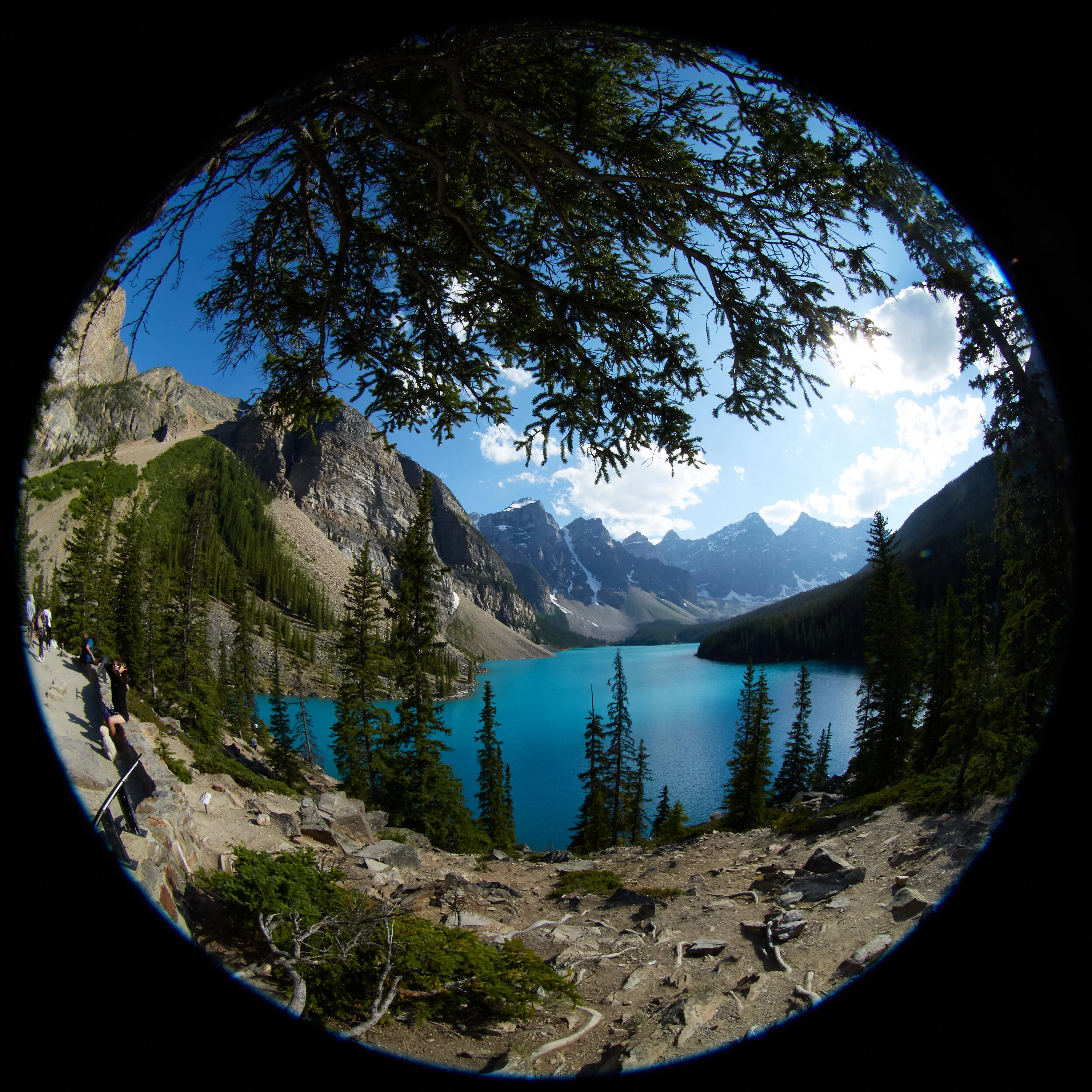 Banff — Trevor Pearson