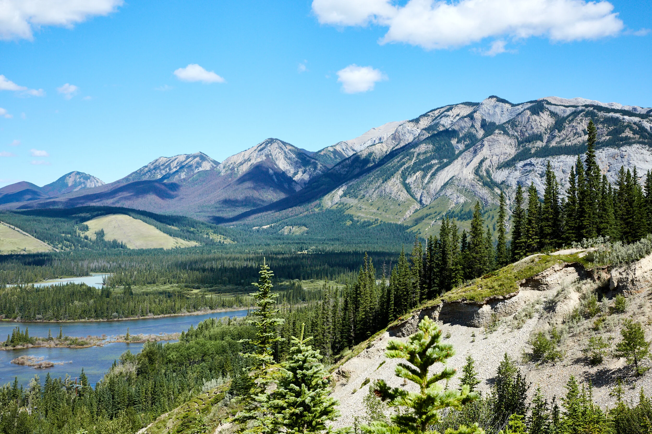 Jasper — Trevor Pearson