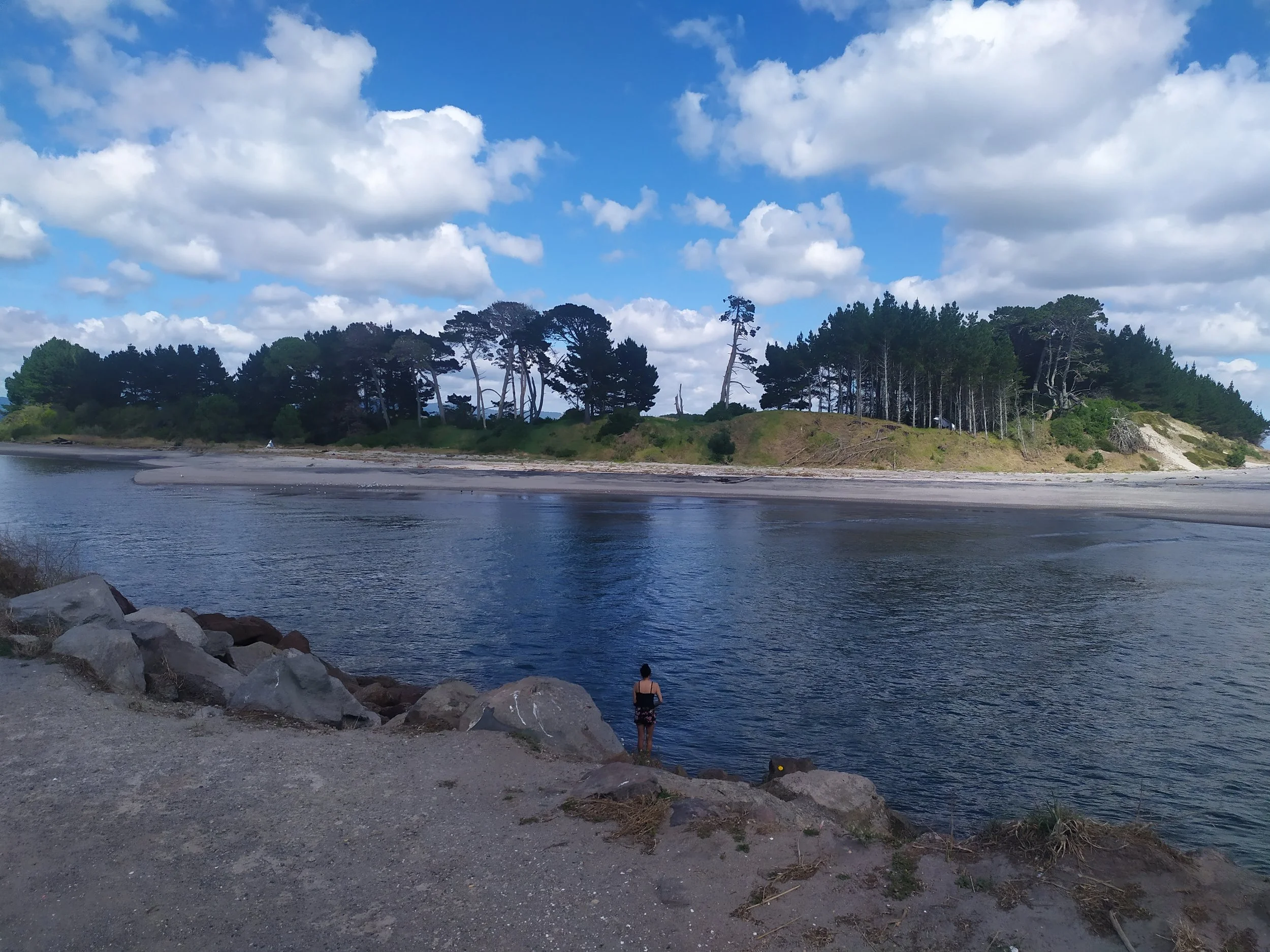 Guided Day Trips from Tauranga | Travel Ed (Mātauranga Haere)