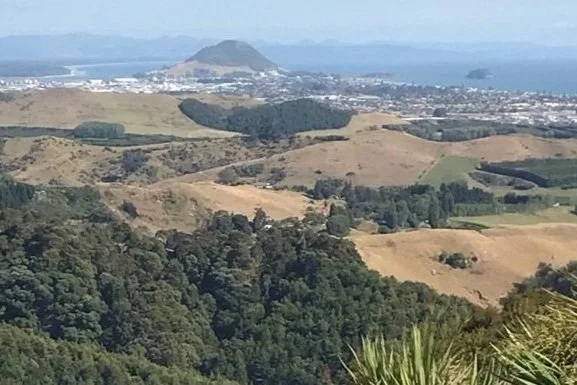 Guided Day Trips from Tauranga | Travel Ed (Mātauranga Haere)
