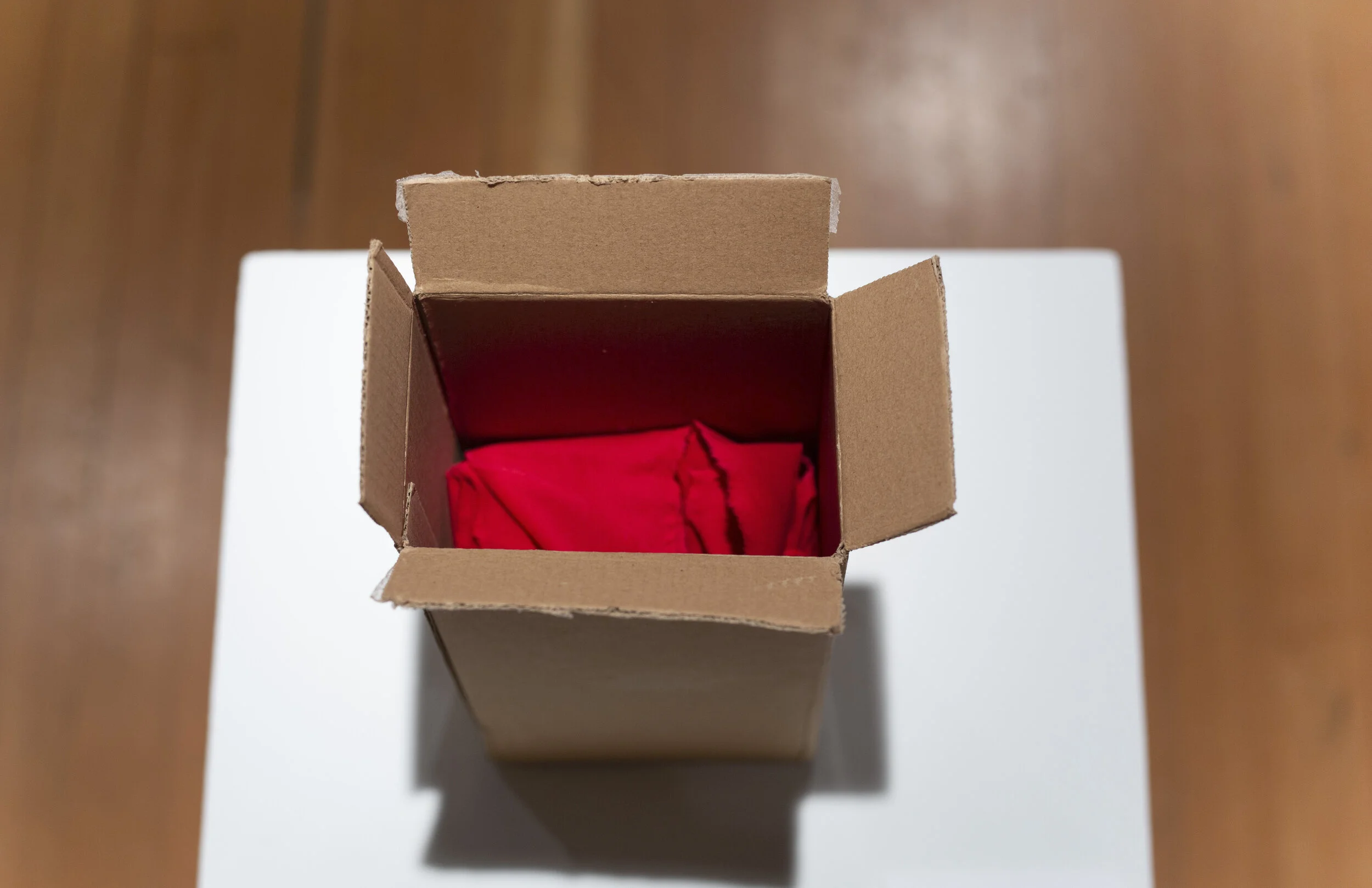 art — Natalie Ball