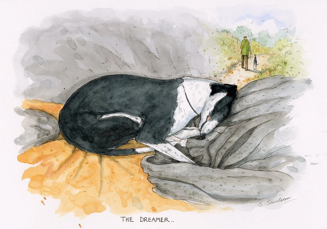 Signed prints watercolour — Steve Sanderson