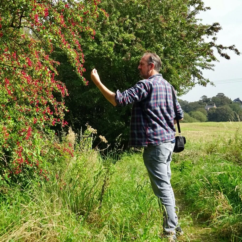 About — Steve Sanderson