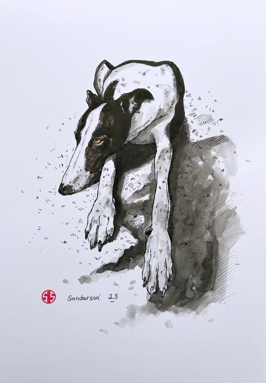 Drawings — Steve Sanderson Art