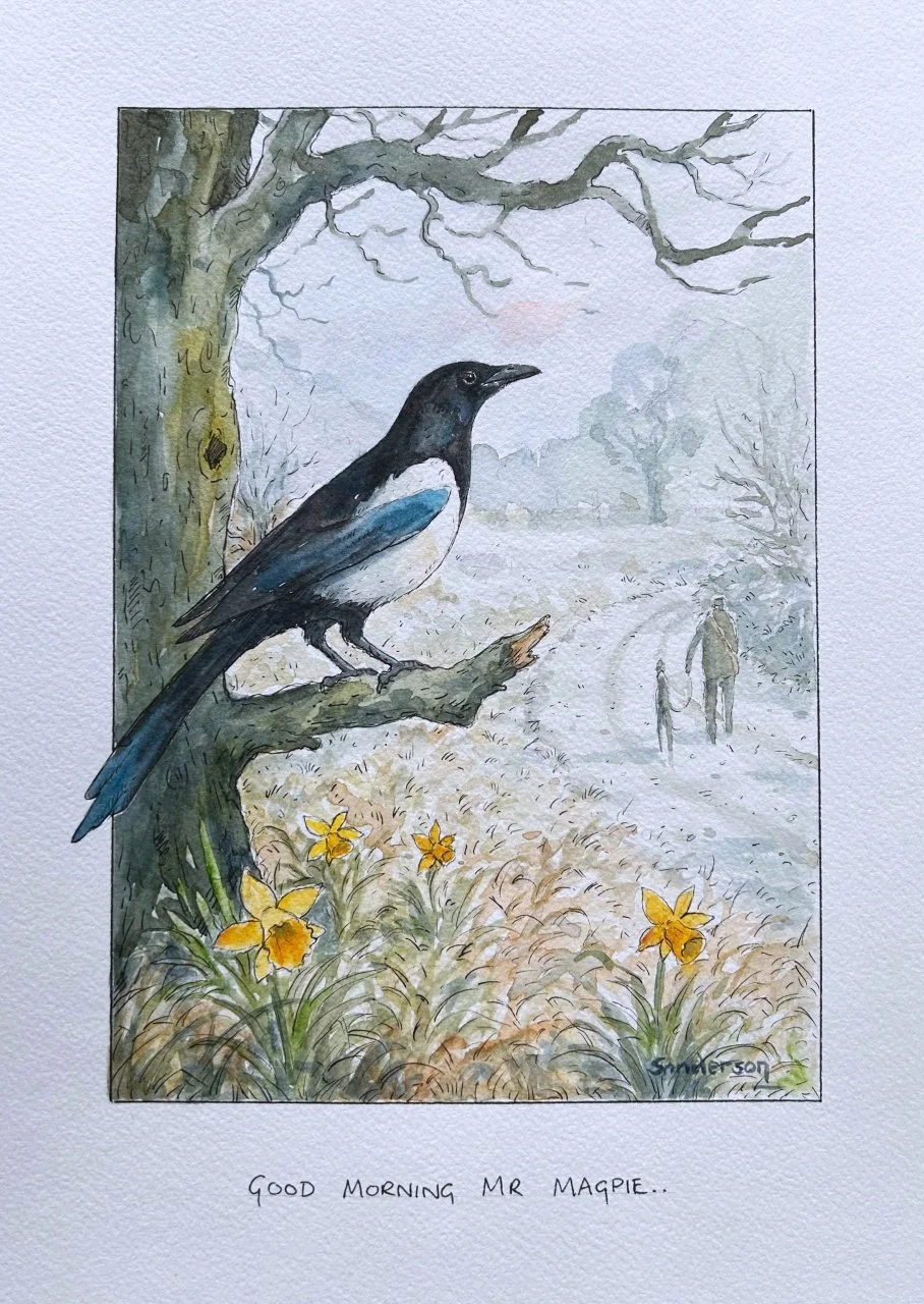 Drawings & Watercolours — steve sanderson