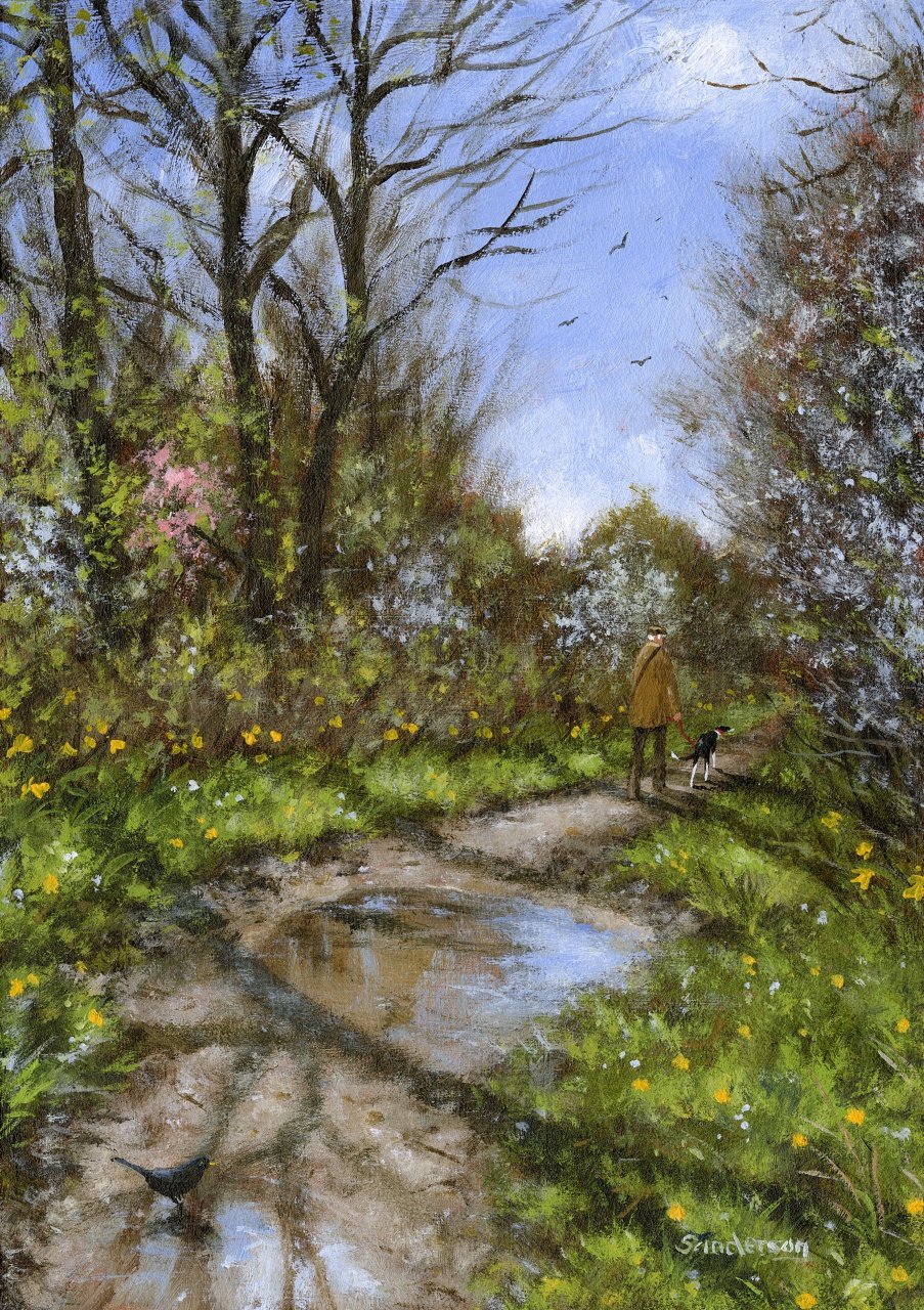 Original Paintings — steve sanderson