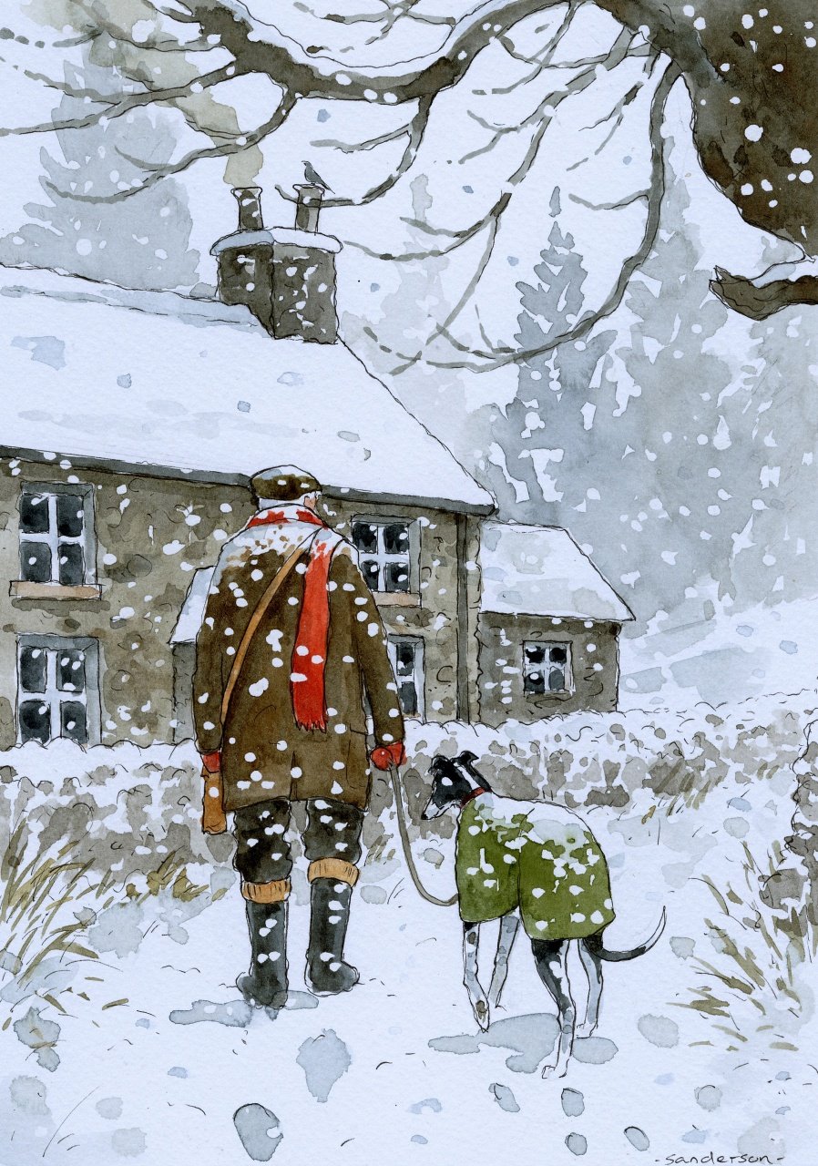 Signed prints watercolour — Steve Sanderson