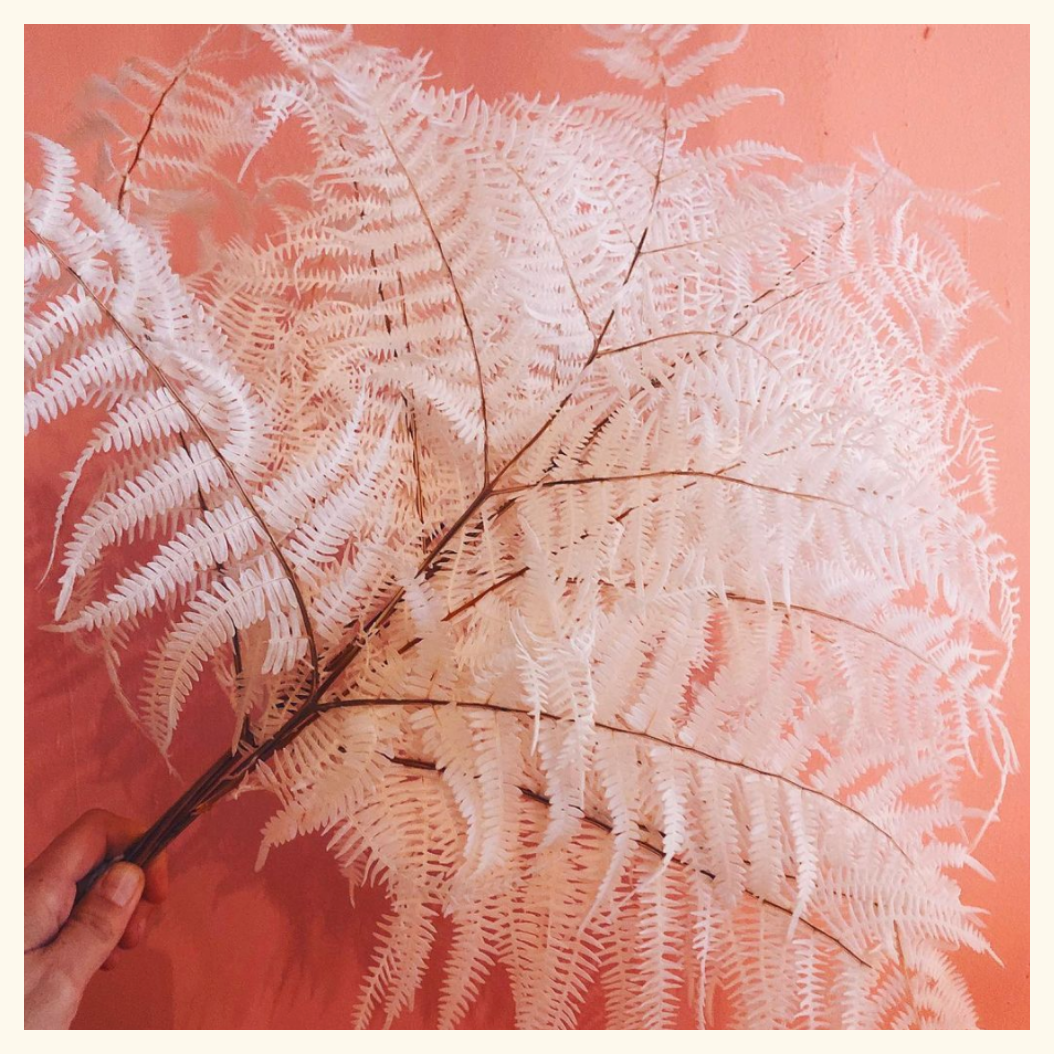 About + Process — The Cottage Rose