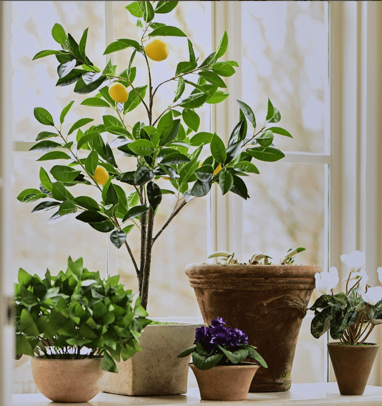 The Beauty of Permanent Botanicals for Your Home — Audrey Interiors