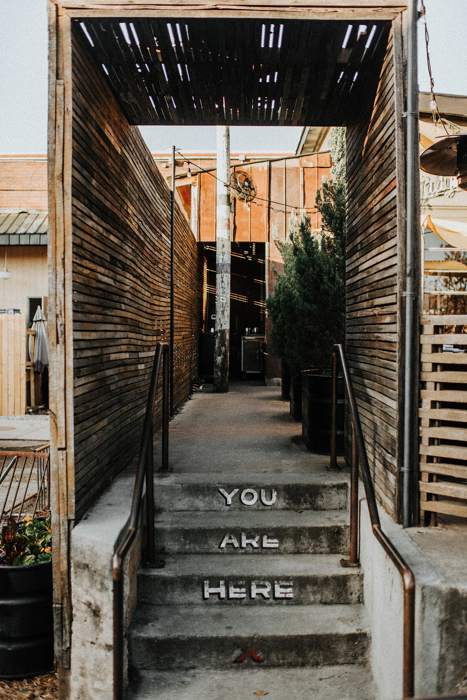 Menu — Ladybird Grove & Mess Hall
