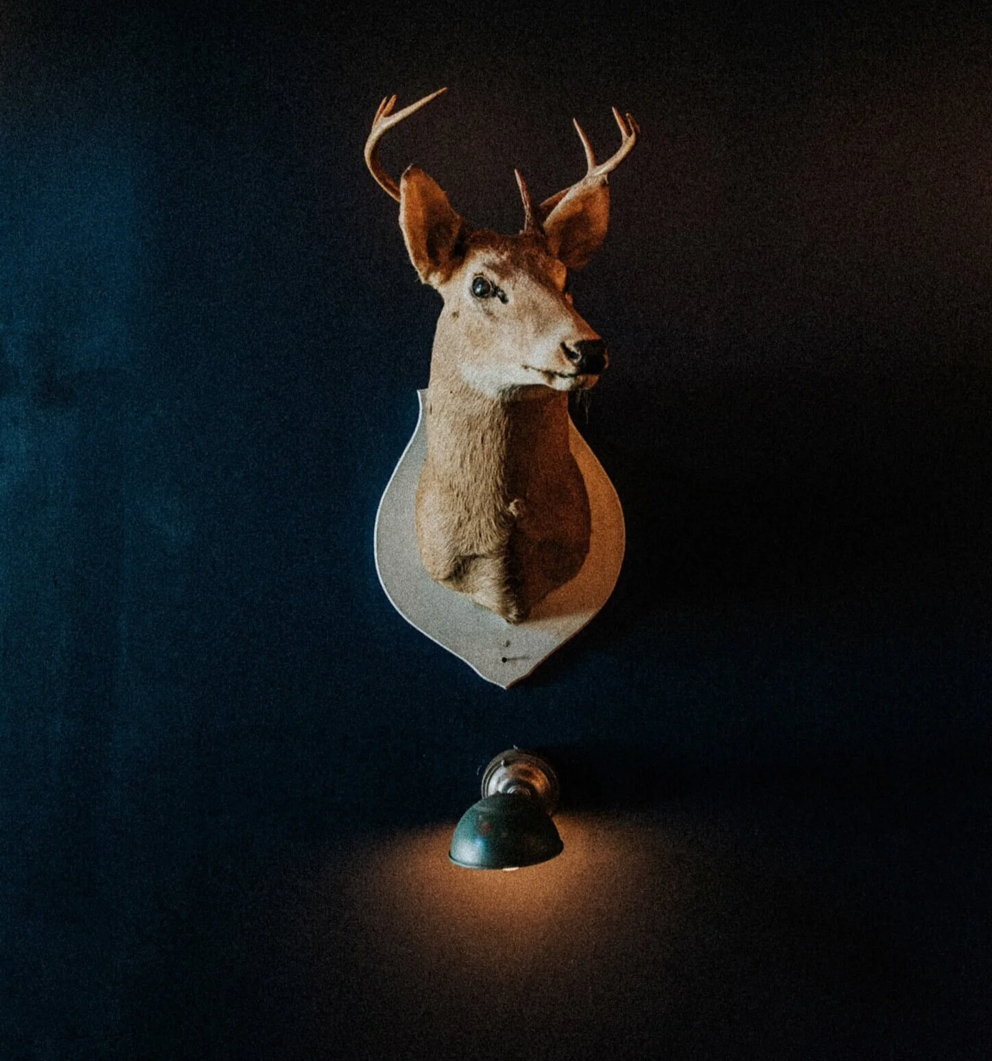 Menu — Ladybird Grove & Mess Hall
