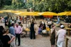Private Events — Ladybird Grove & Mess Hall