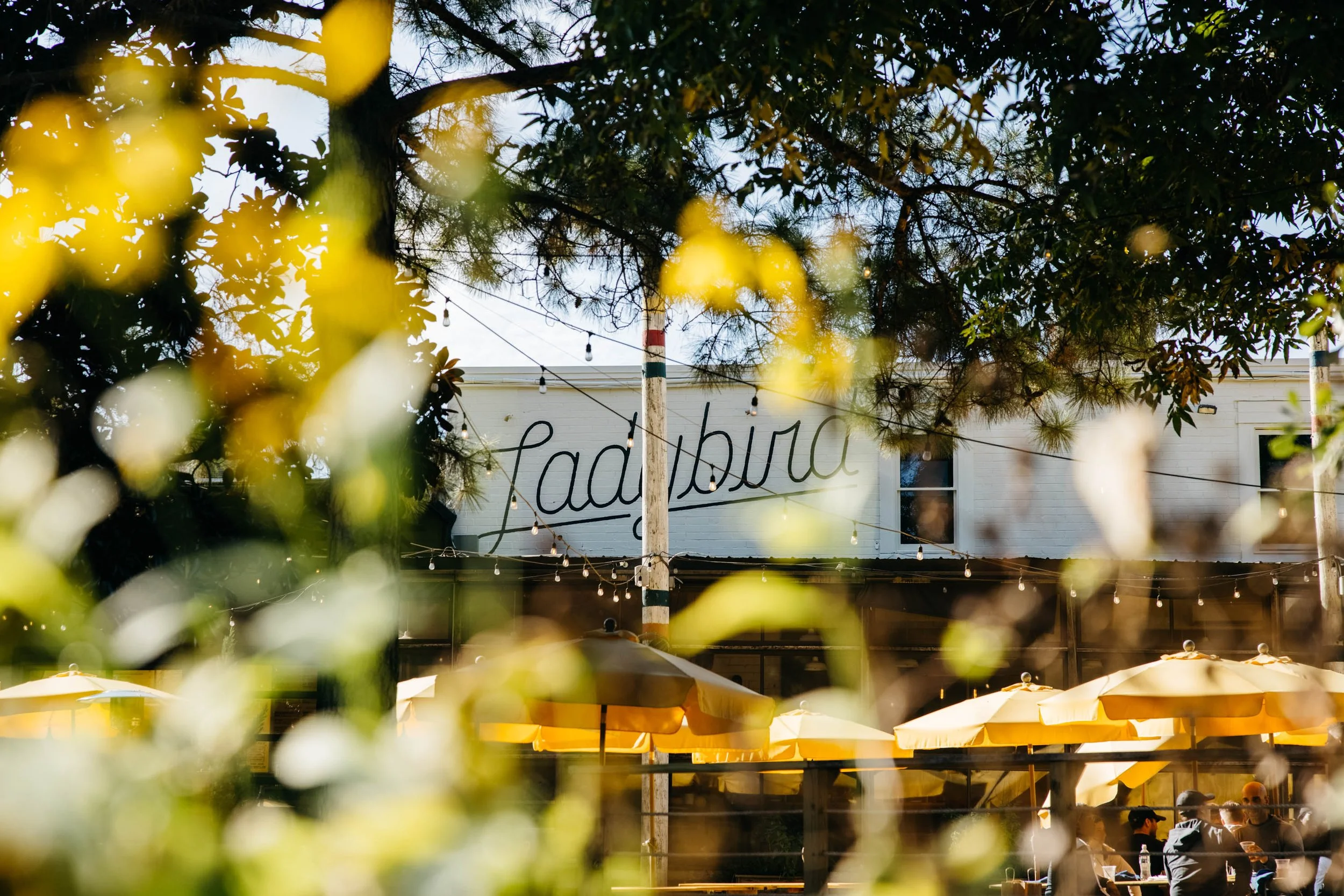 Menu — Ladybird Grove & Mess Hall