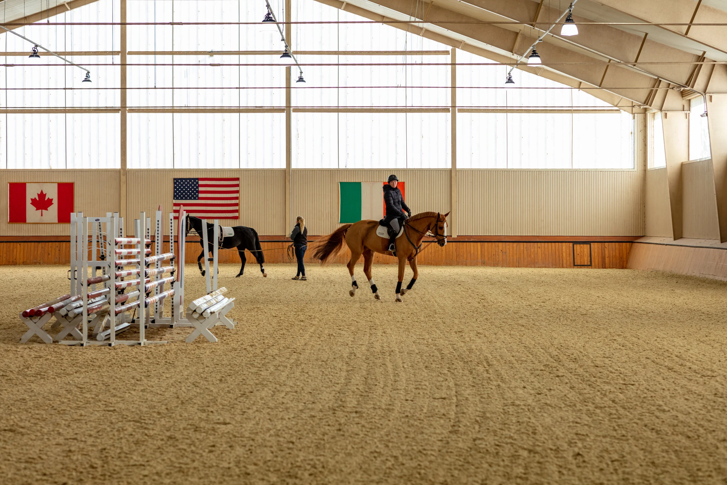 Windsor Show Stables | Commercial Interior Design — Kellie Burke Interiors