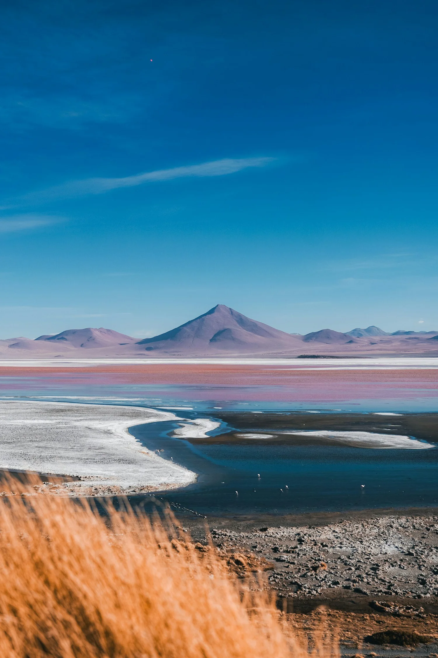 Our Team — Premier NeuroSpine Institute