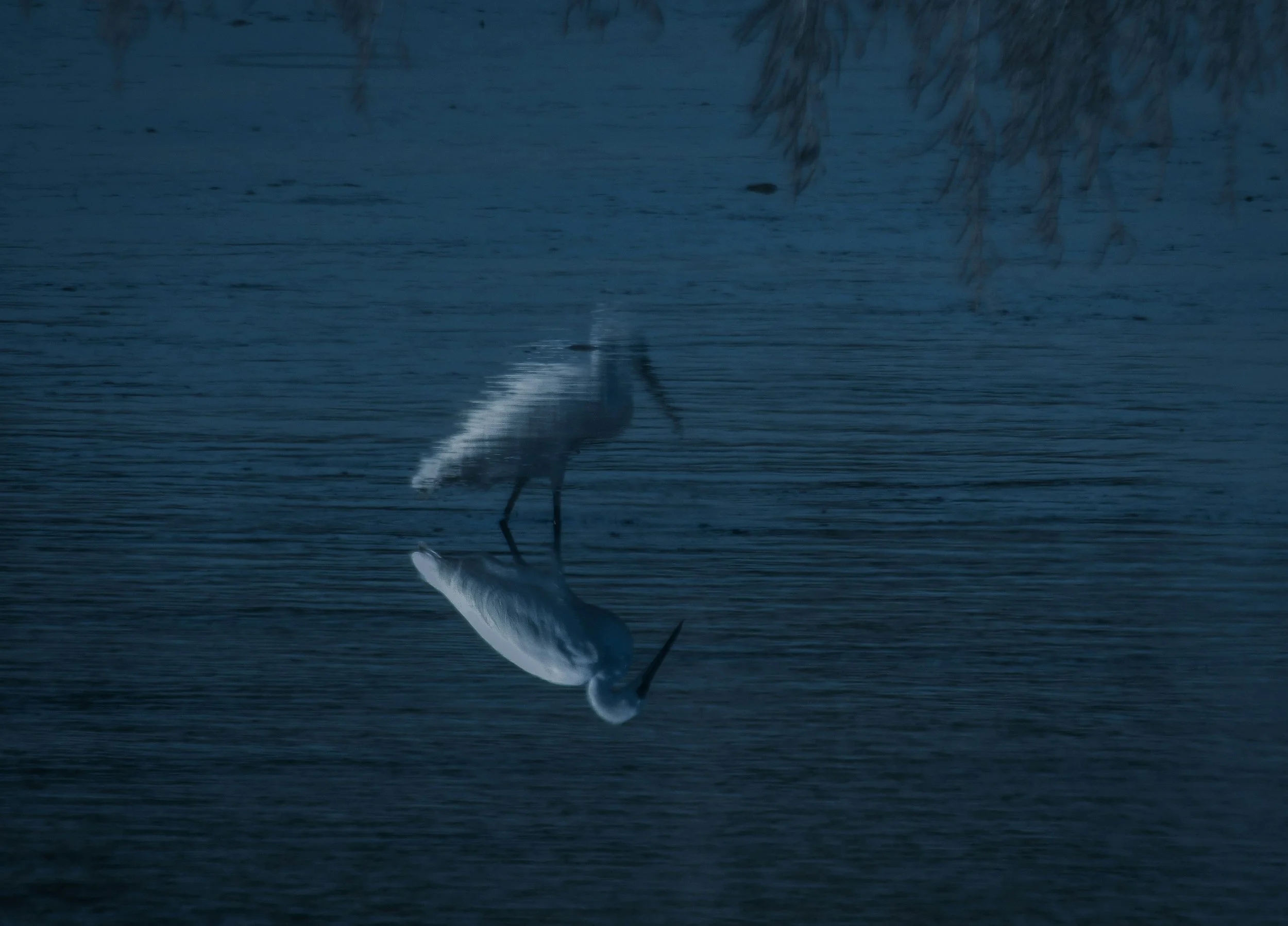 Emotional Realities Part 3: Feeling is Believing