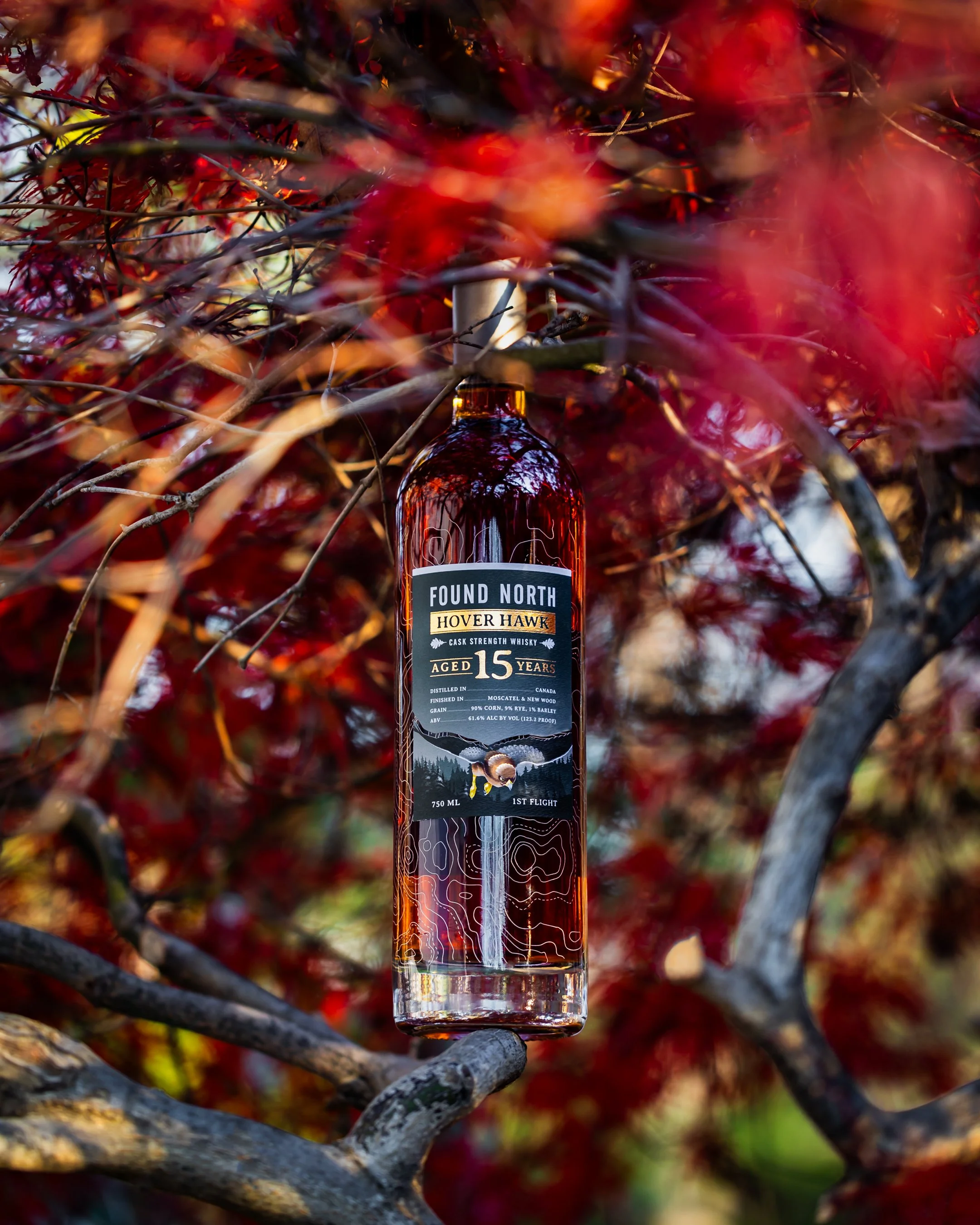 Found North Whisky Hover Hawk First Flight